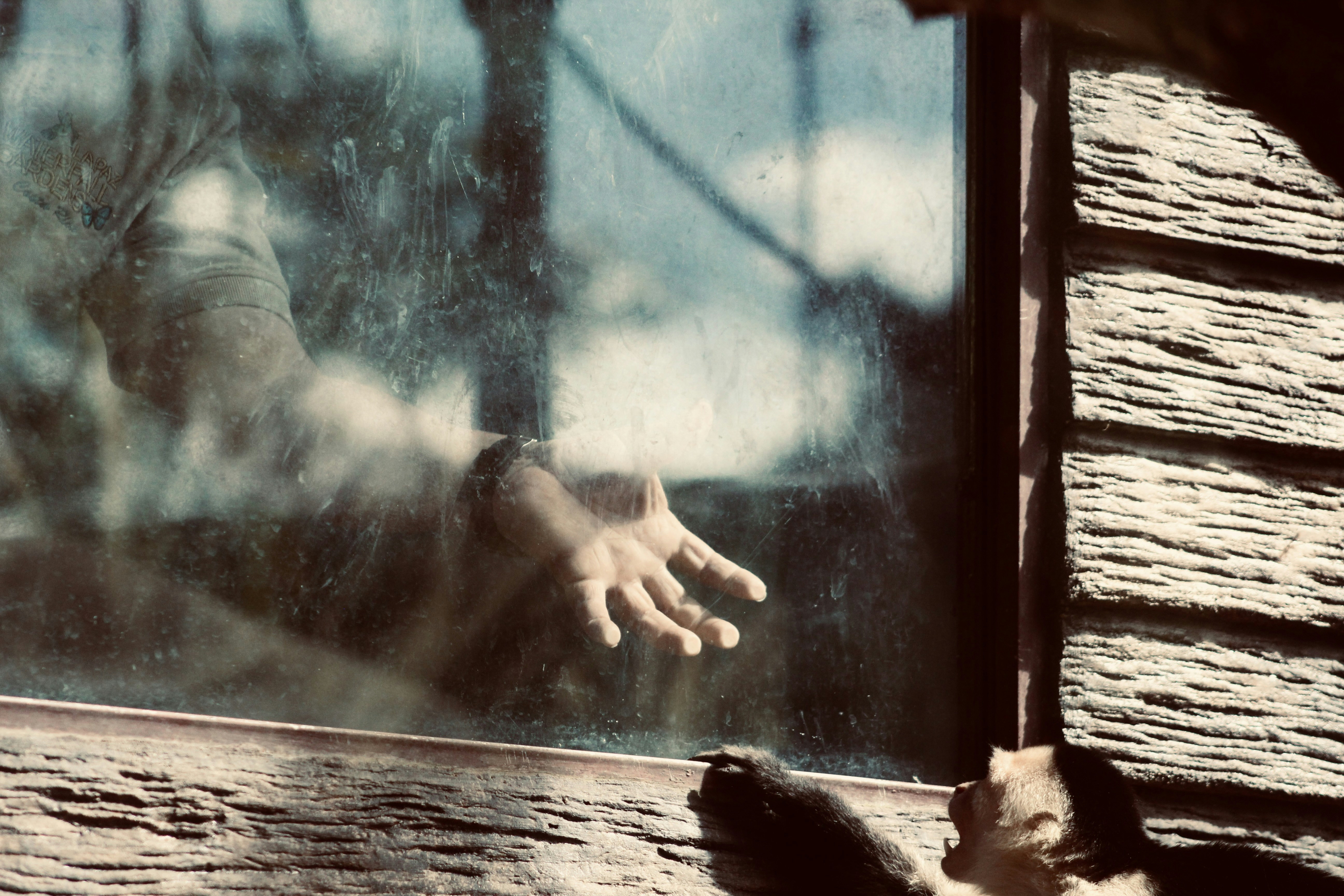 Hands at the Glass: A Quiet Escape from the Wooden Frame