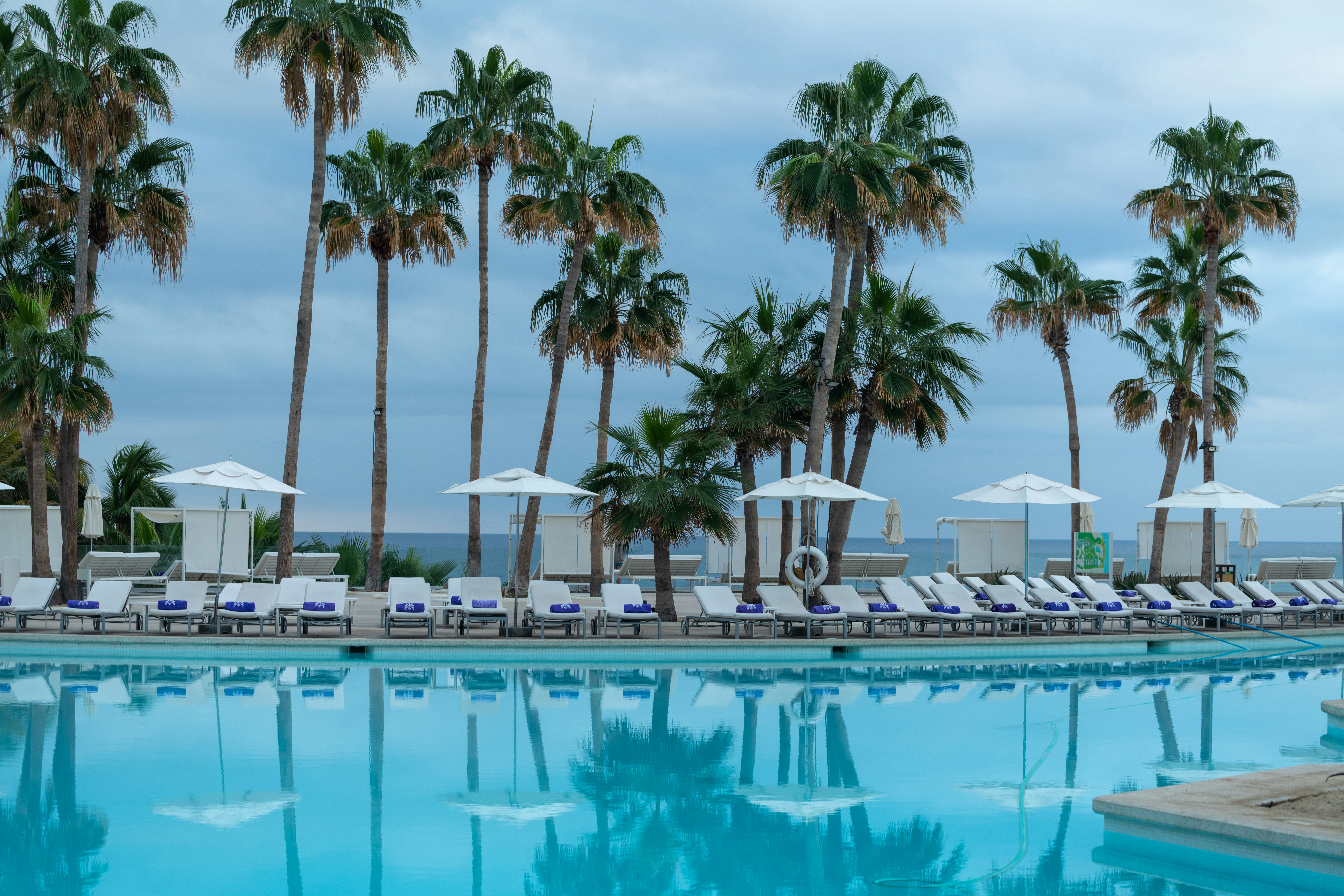 A swimming pool with lounge chairs and palm trees photo – Free Pool ...