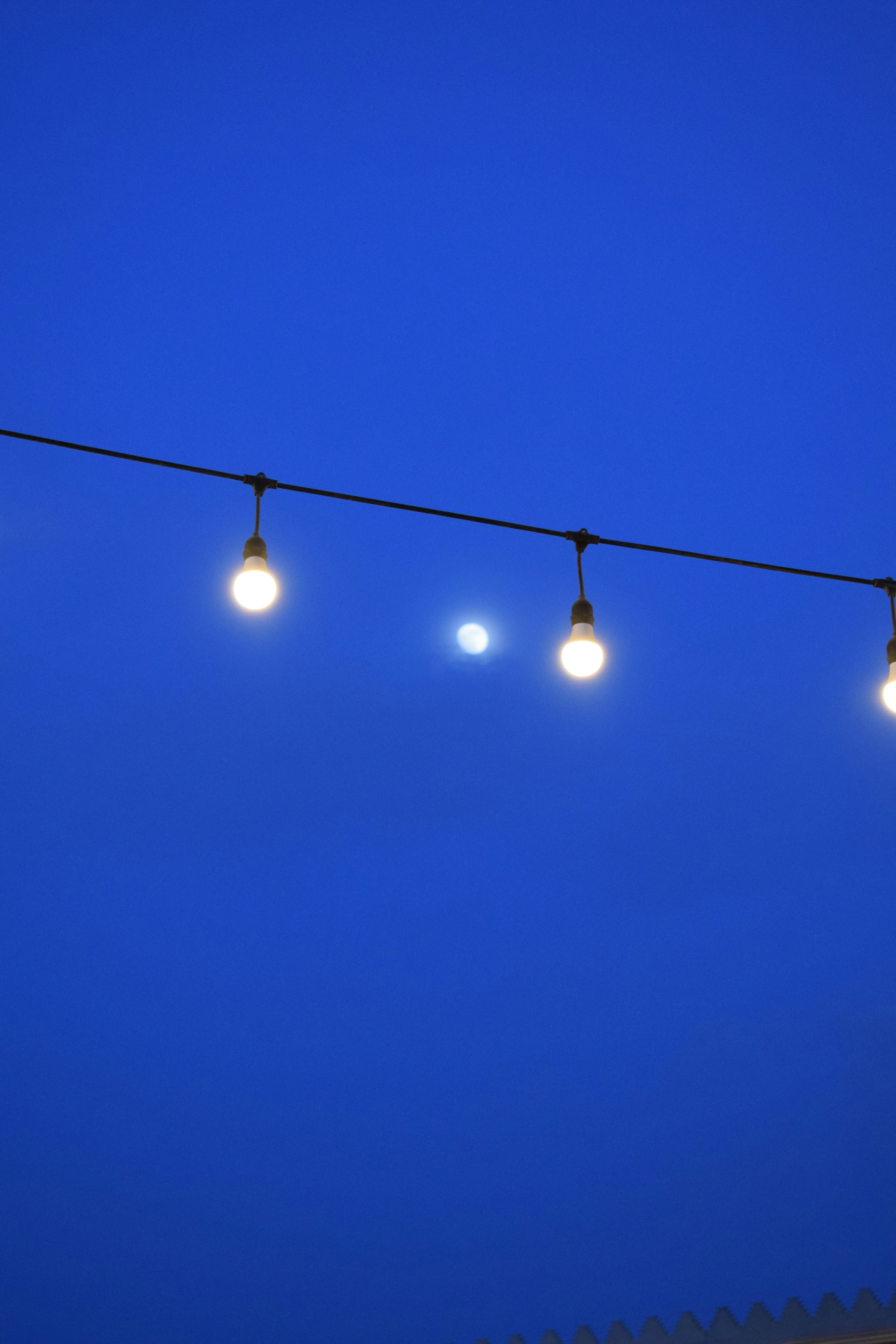 Ambient Glow: A Simple Line of Lights in a Deep Blue Evening
