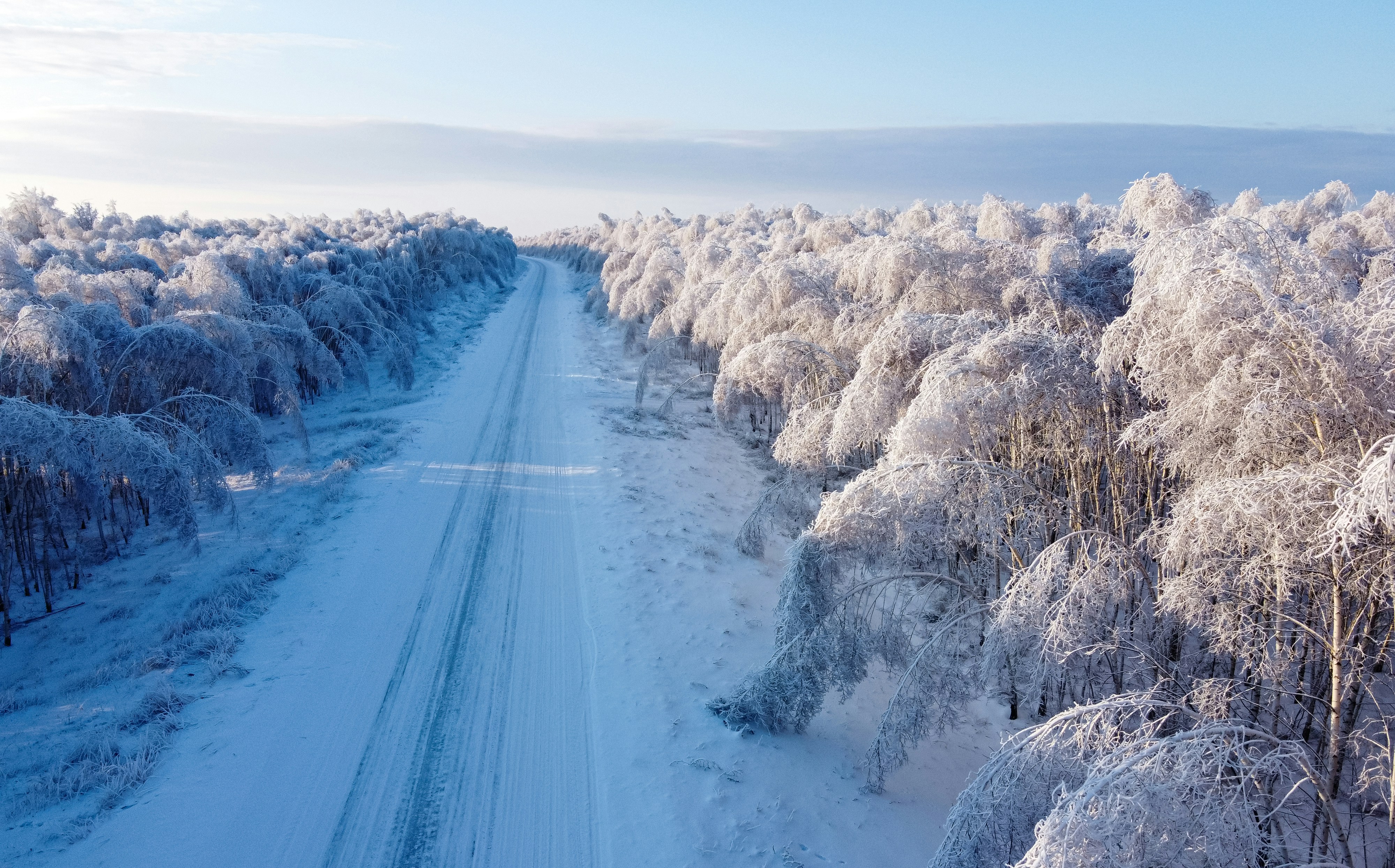 Uma vista aérea de uma floresta coberta de neve foto – Imagem grátis ...