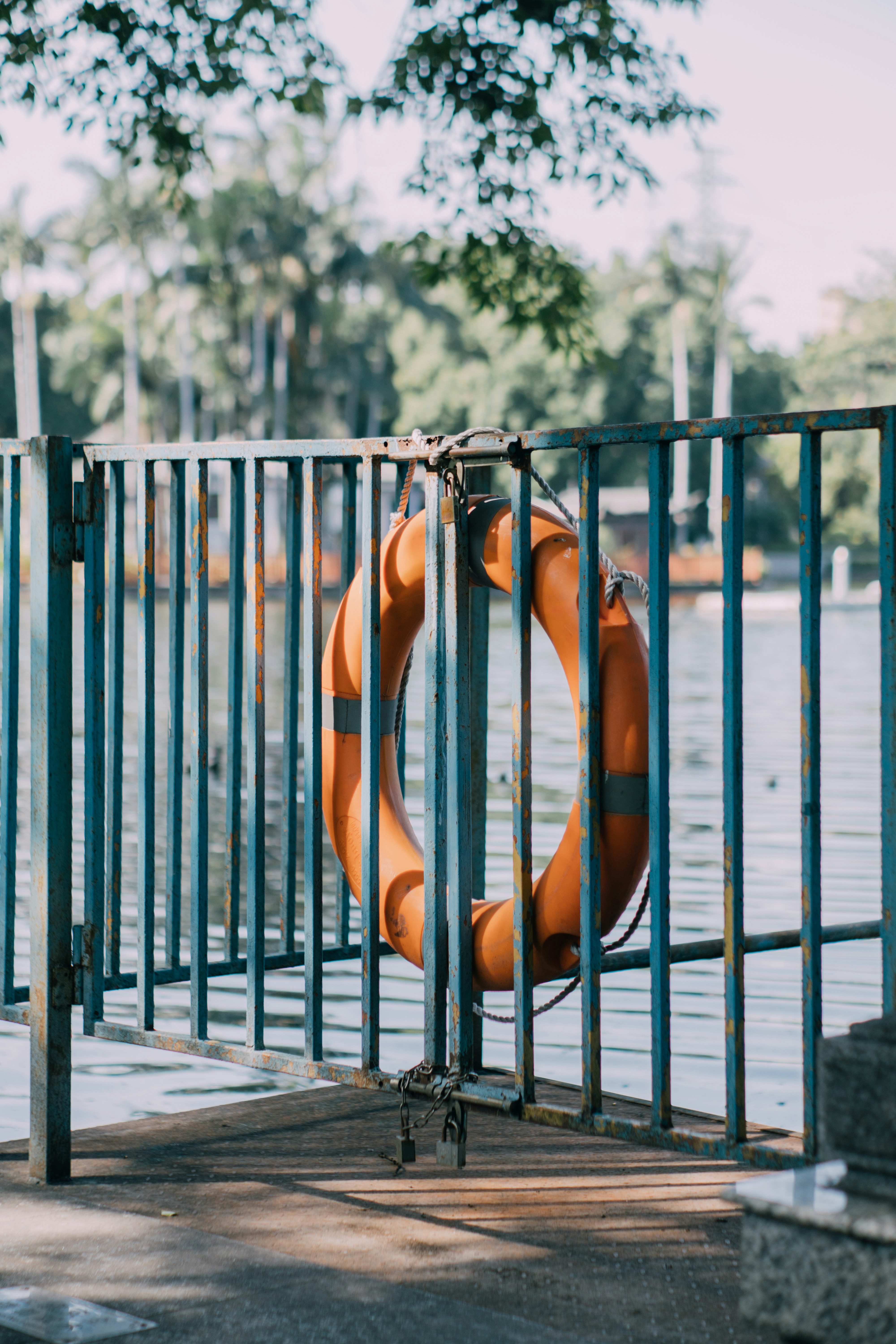 Safety in Serenity: The Lifebuoy's Vigil