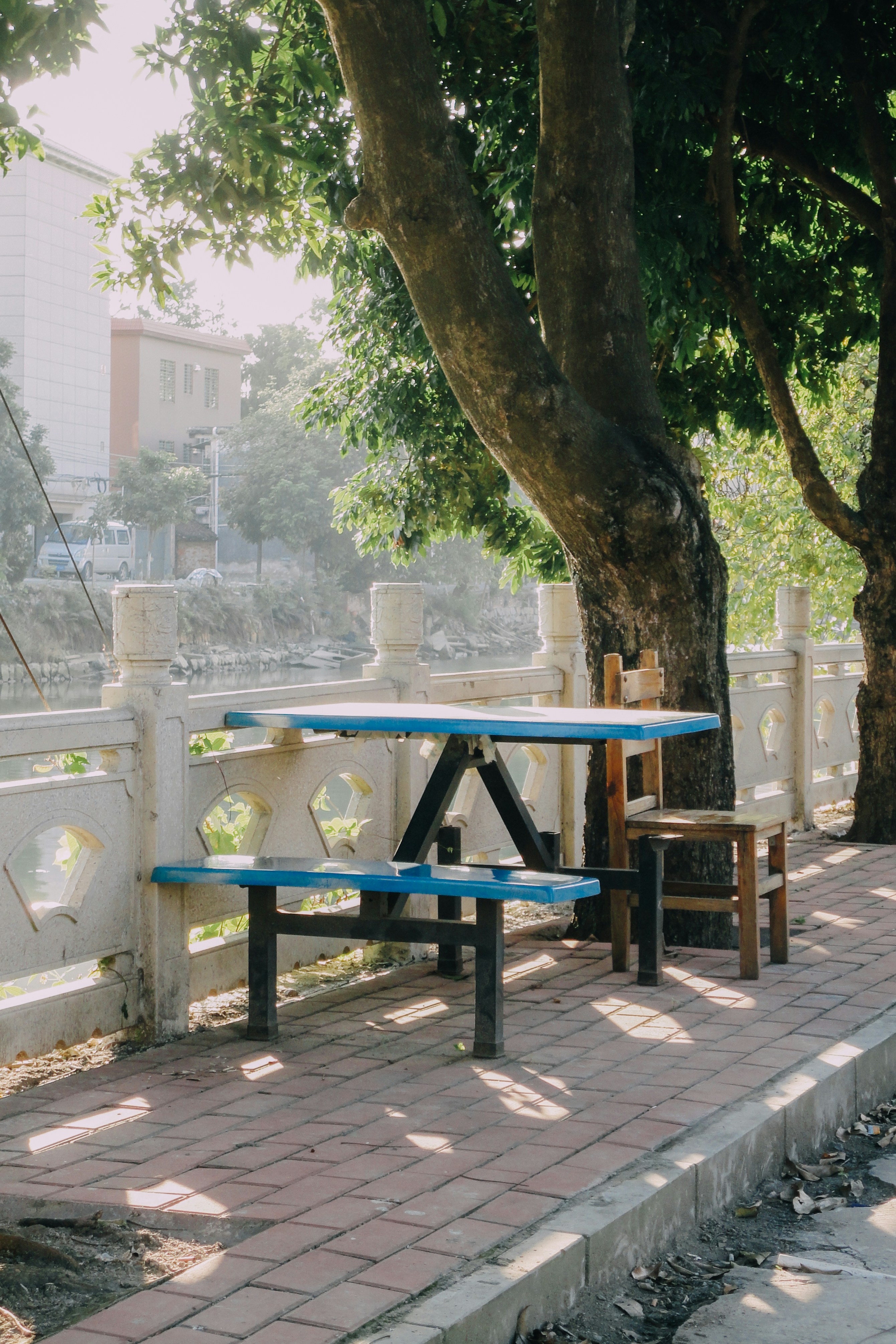 Photo by Shawn Rain with Sony Cyber-shot W350