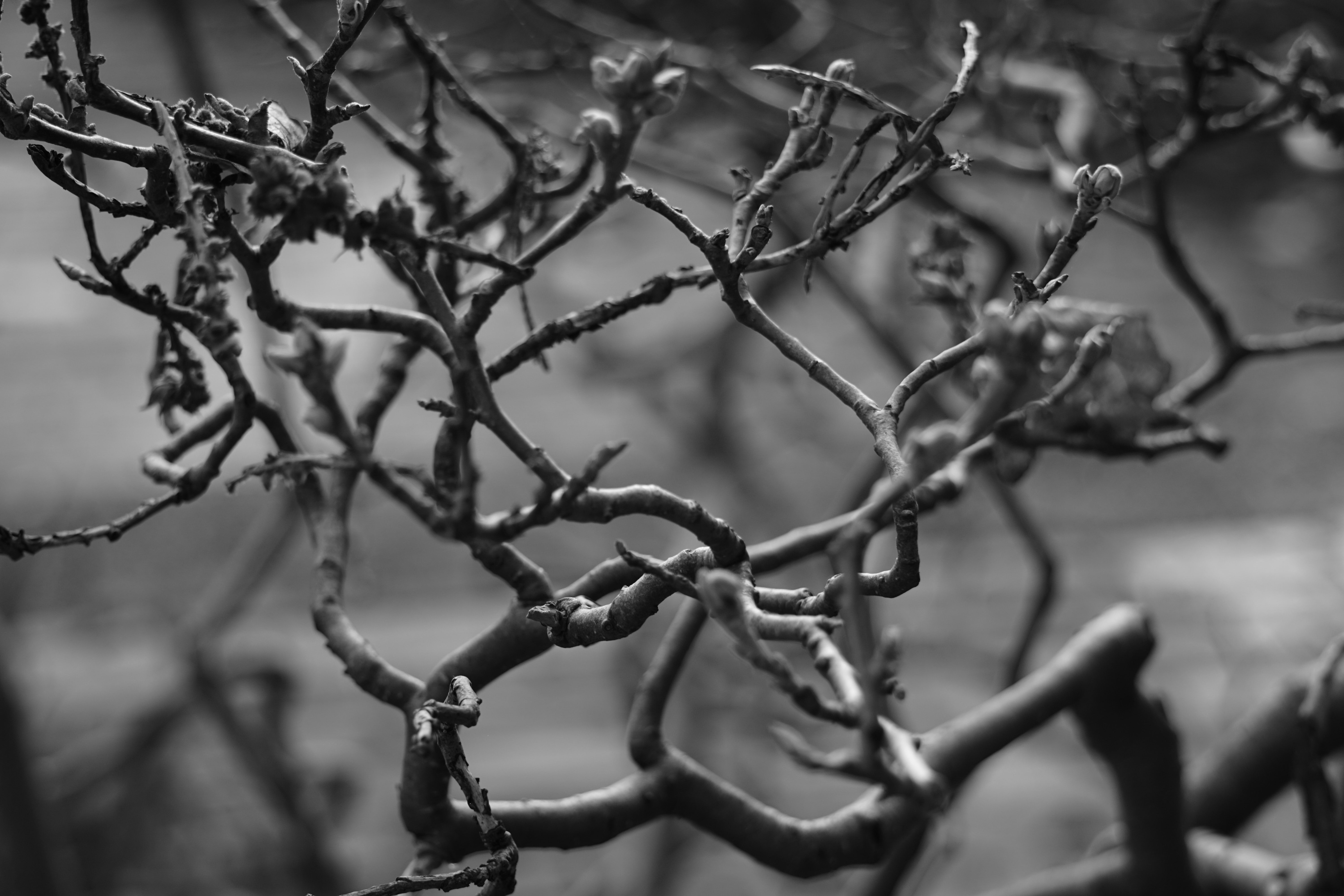 Photo by Patrik Kay with Sony Alpha 6000