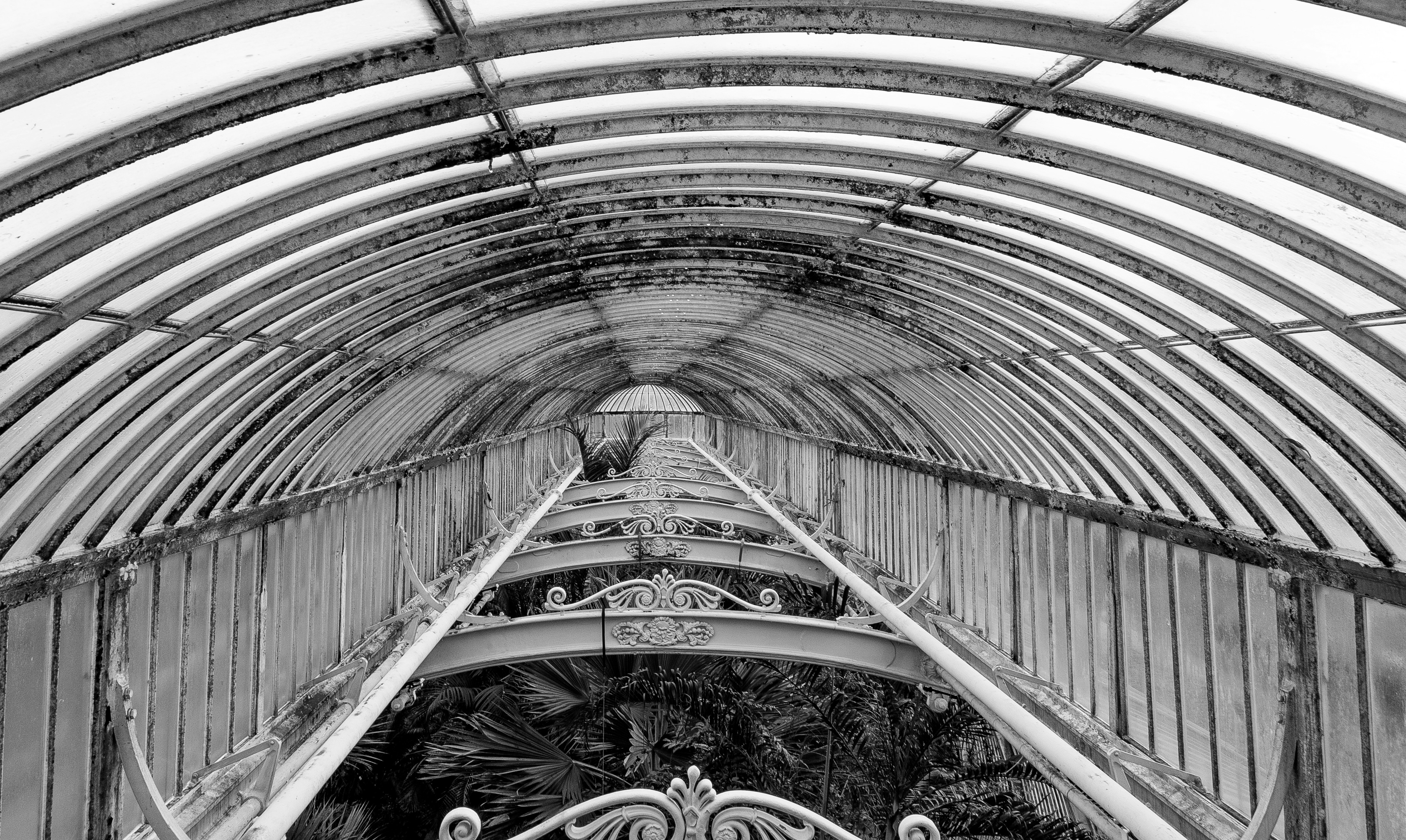 A striking view of a vintage greenhouse's arched structure, showcasing intricate metalwork and a glimpse of lush greenery below.