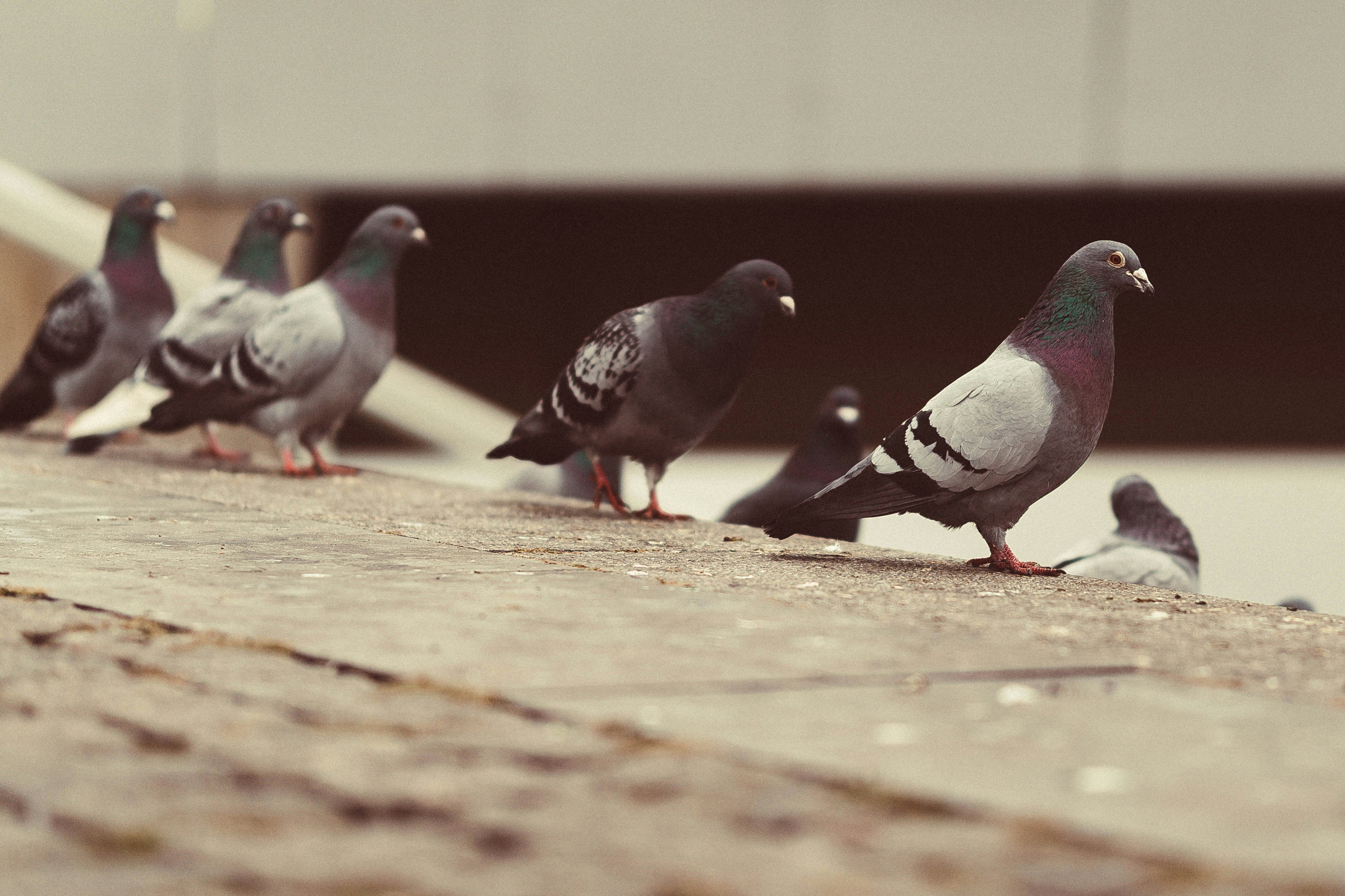 Photo by Pourya Gohari with Sony Alpha 6400