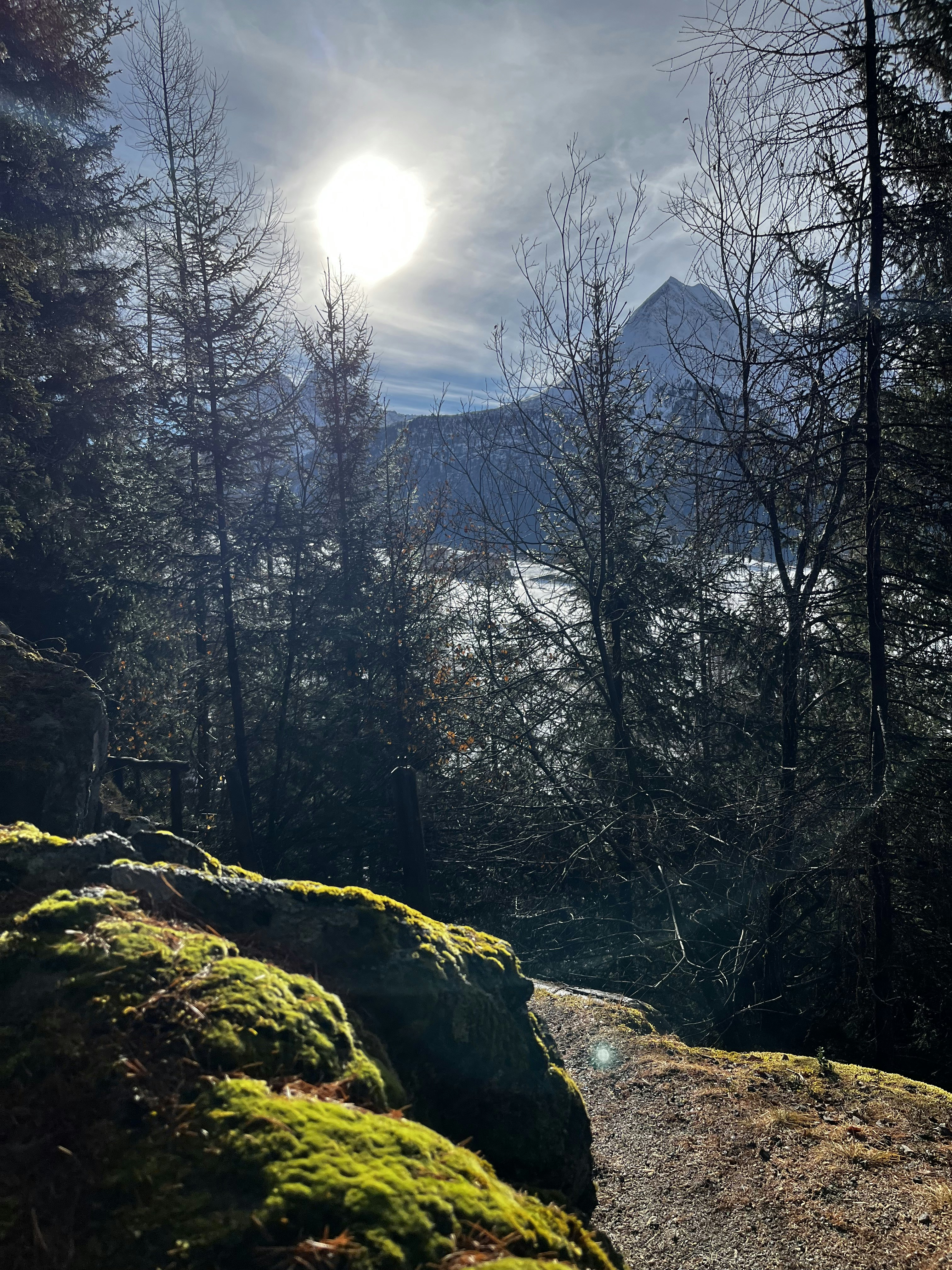 David Hohl (@fishme) | Unsplash-Foto-Community