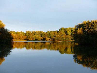 Autumn's Reflection: A Serene Lakeside Encounter