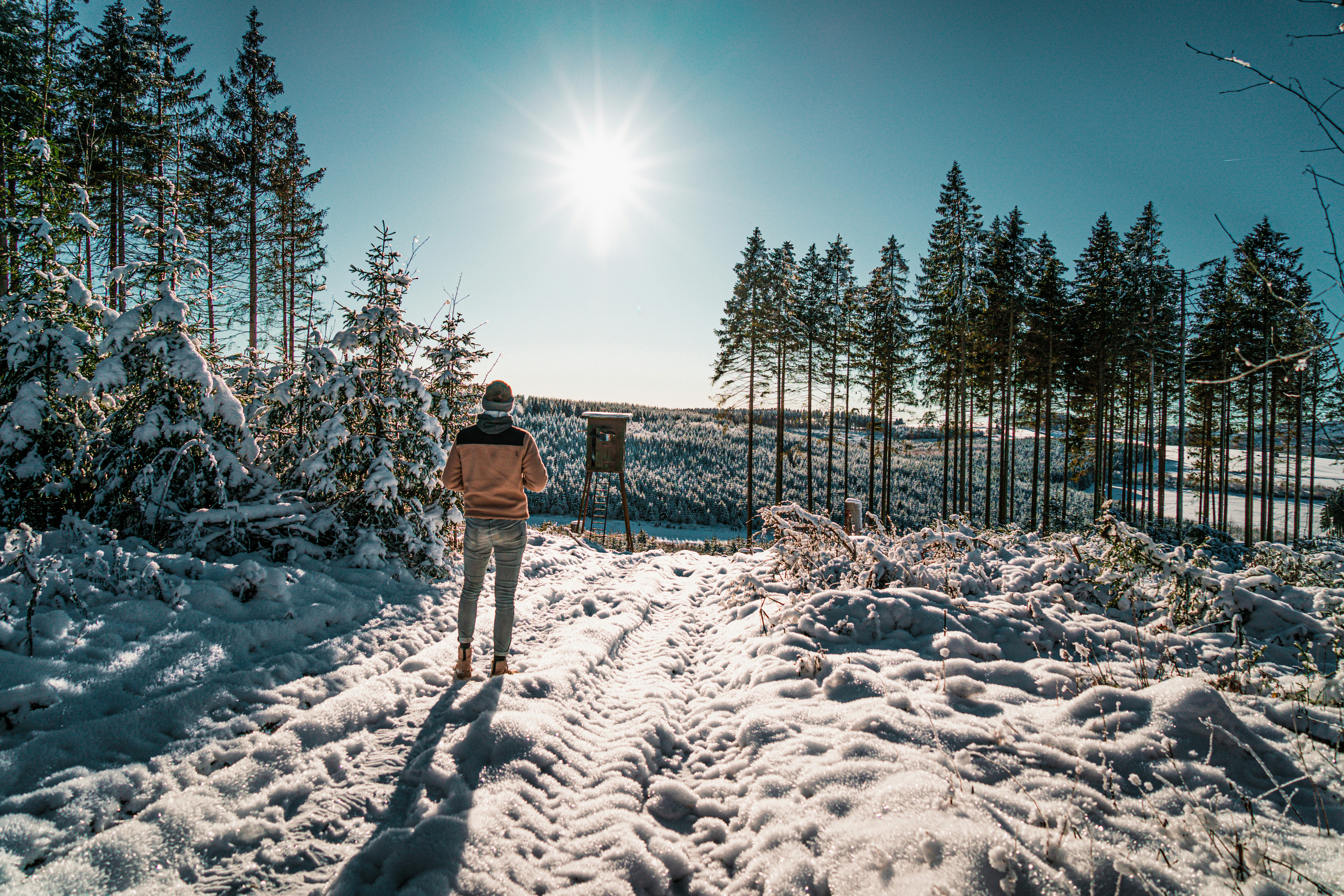 Trailblazer in Snow: Lone Visitor Beneath a Winter Sun