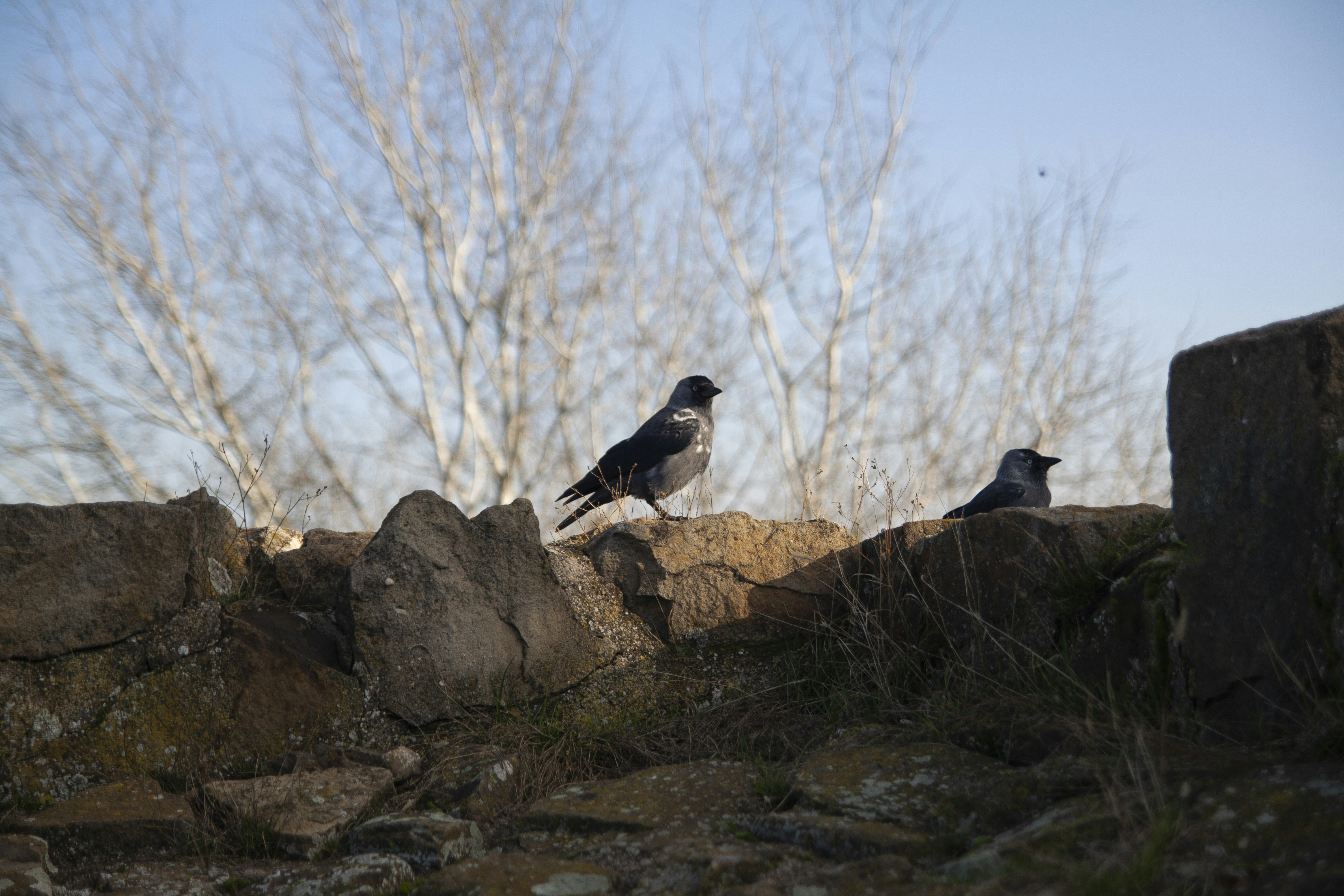 Photo by Aleksandr Isaev with Canon EOS 500D