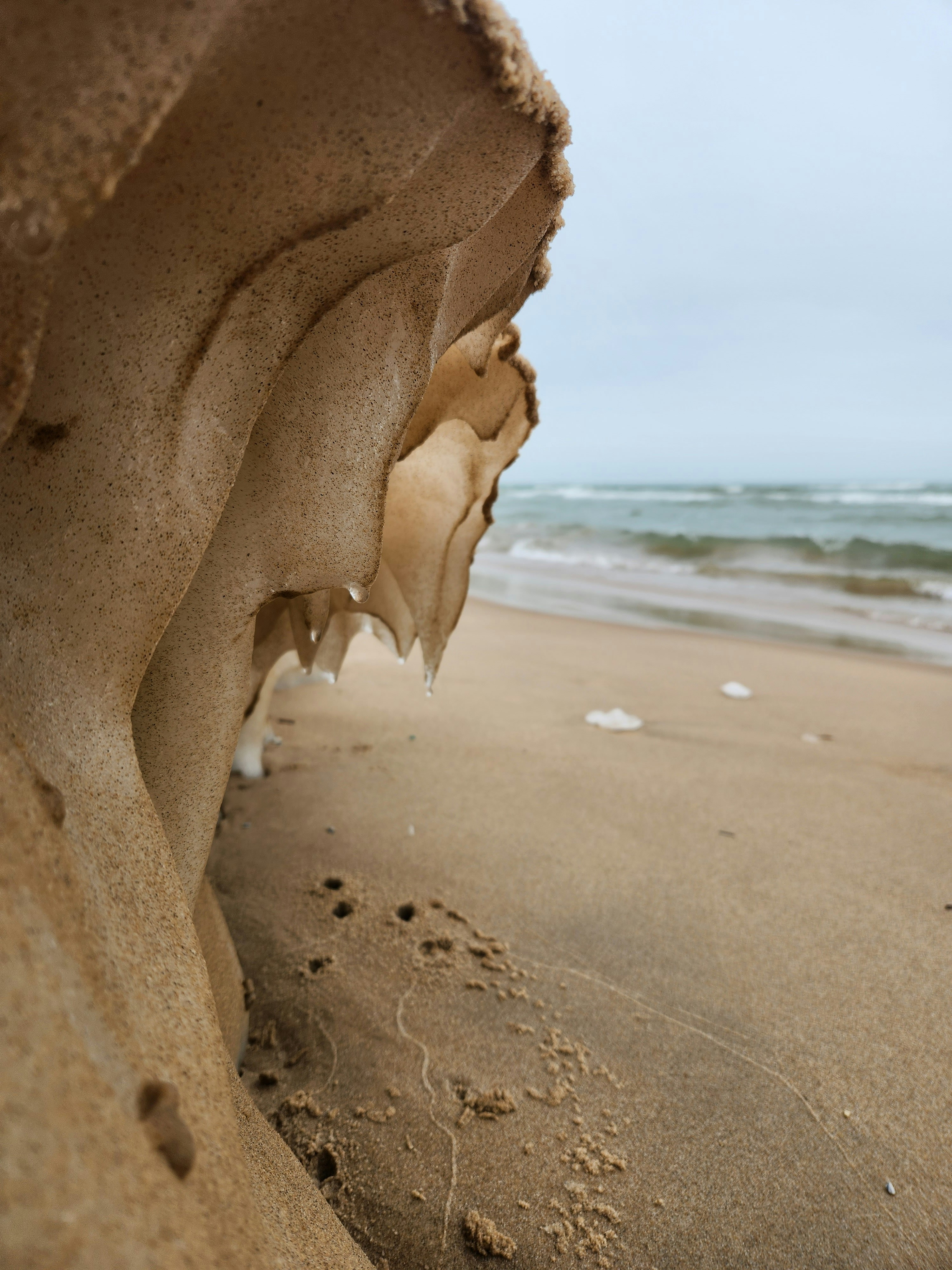 Sand Cathedral on the Beach: Wind-Sculpted Arch Framing a Distant Sea