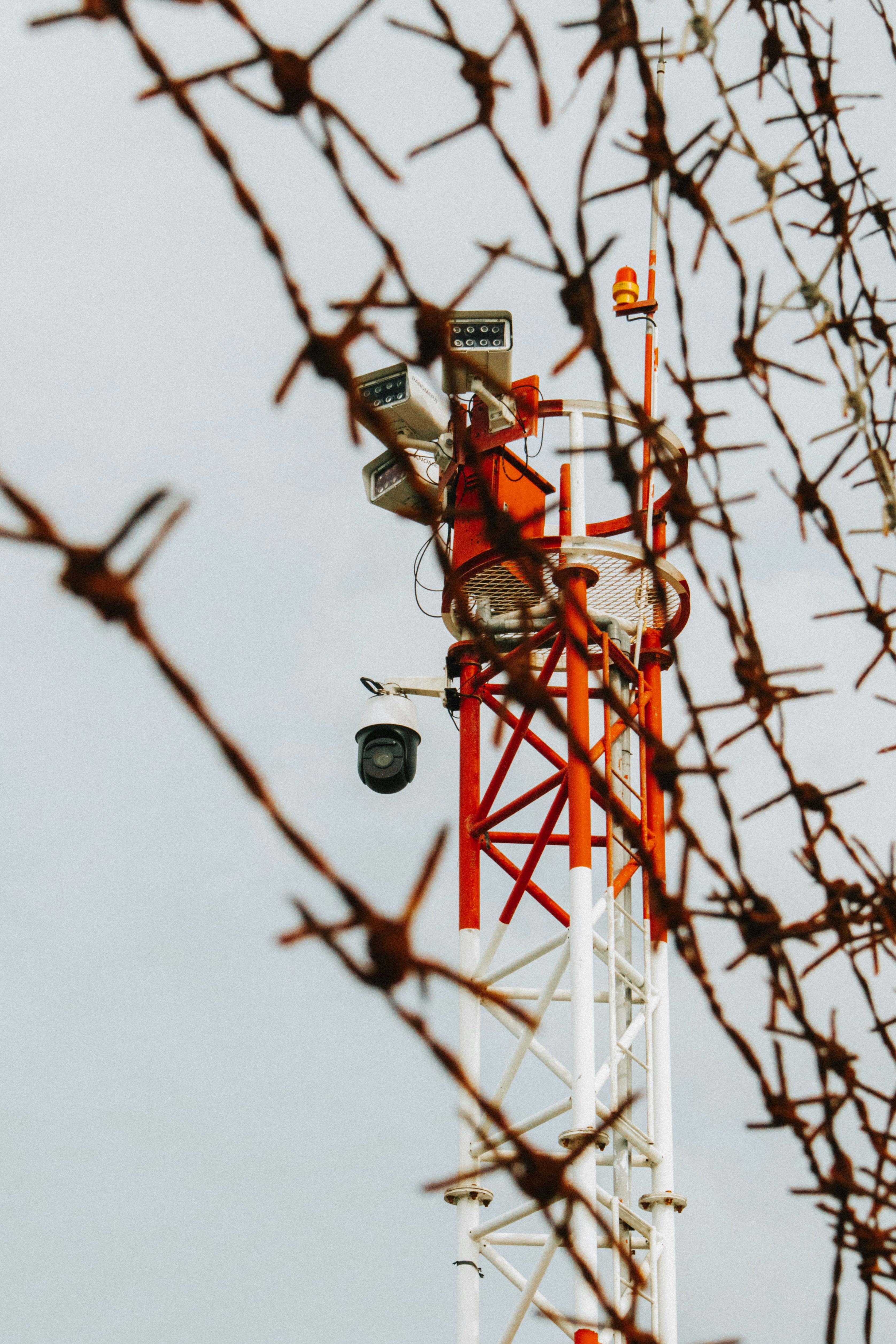 Barbed framework under overcast sky: a security camera tower framed by tangled branches