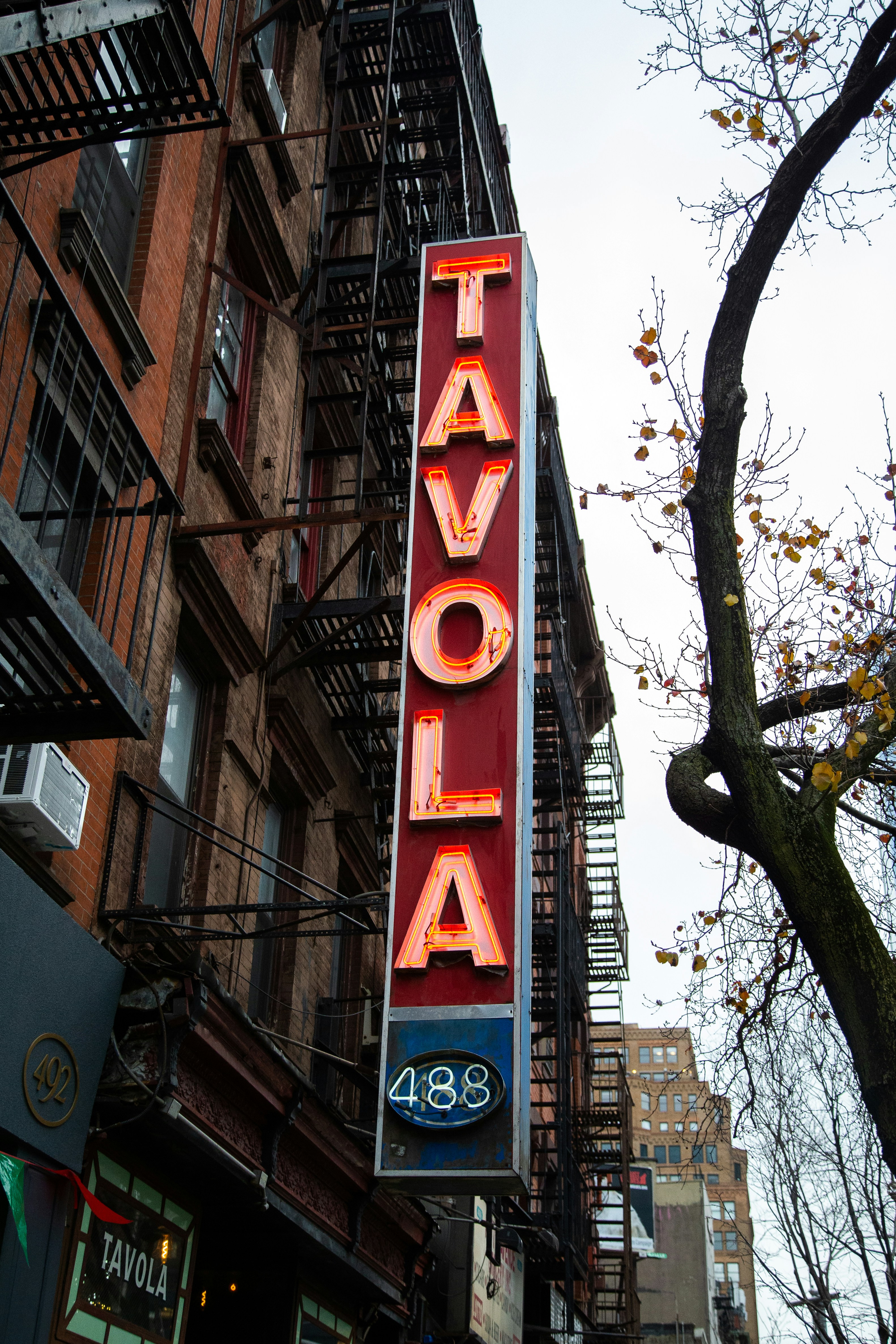 Photo by Kaydn Ito with Canon EOS-1D X