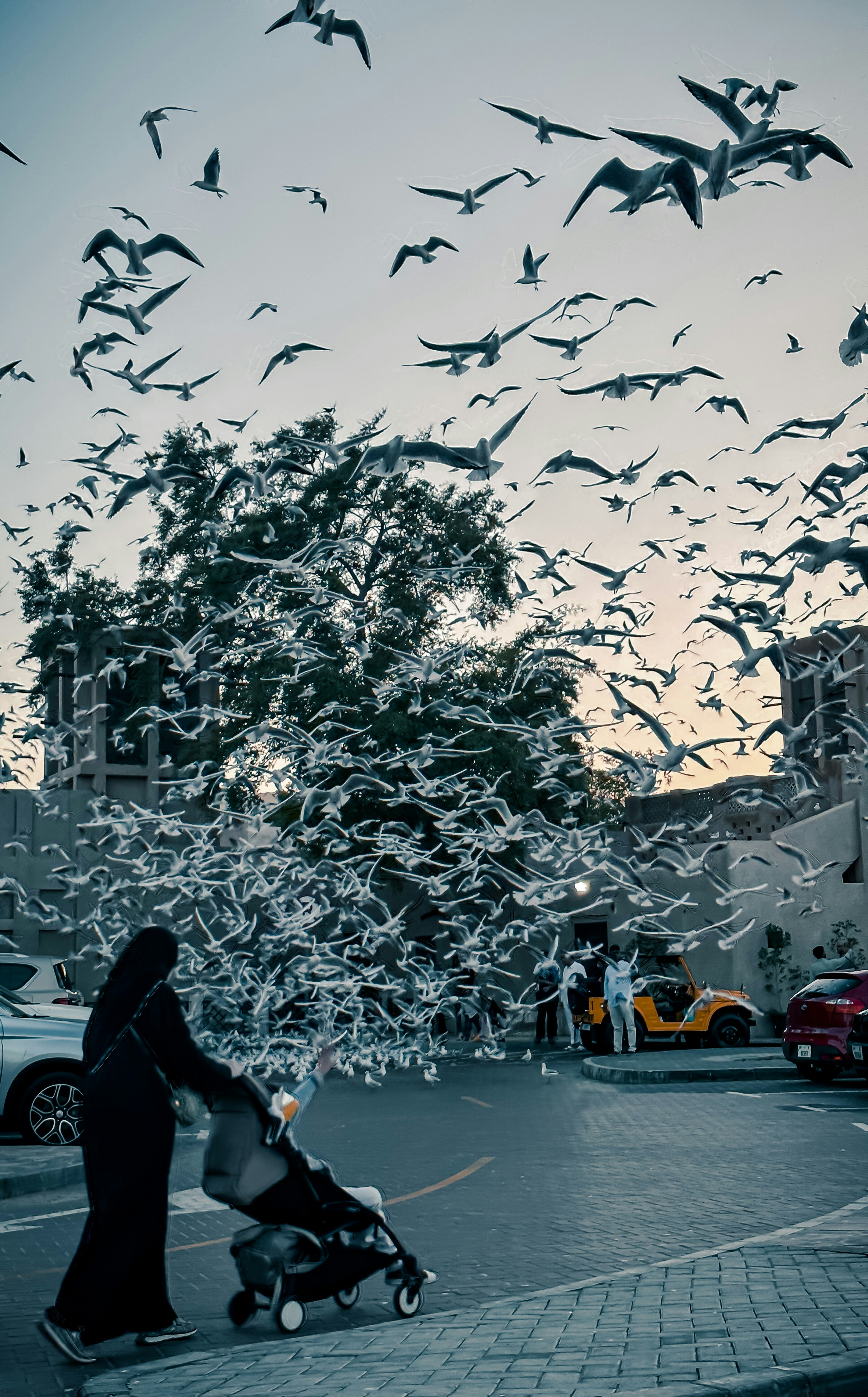 Dusk Swarm Over a City Square