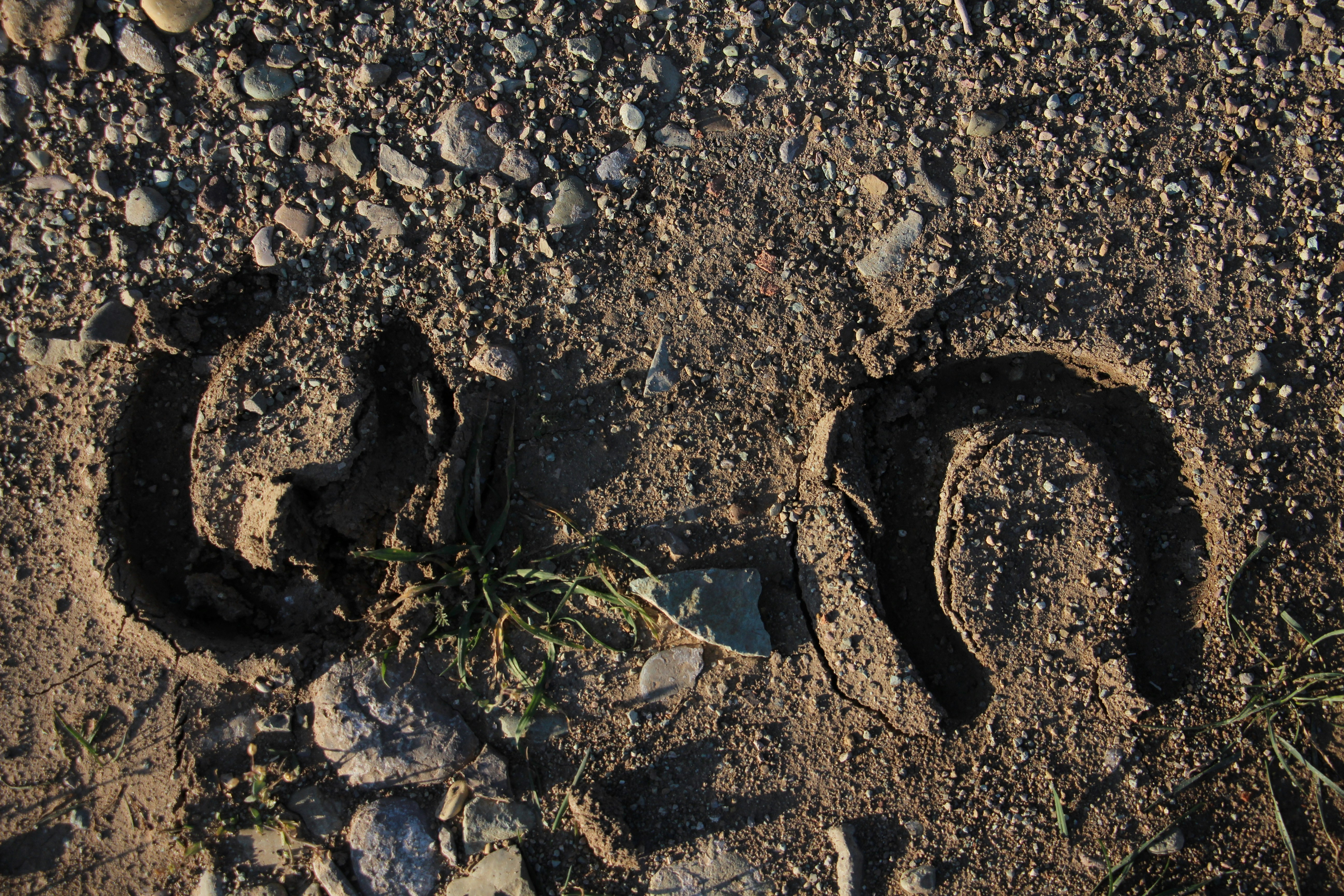 Il y a une photo des empreintes de pas d’une personne dans le sable ...