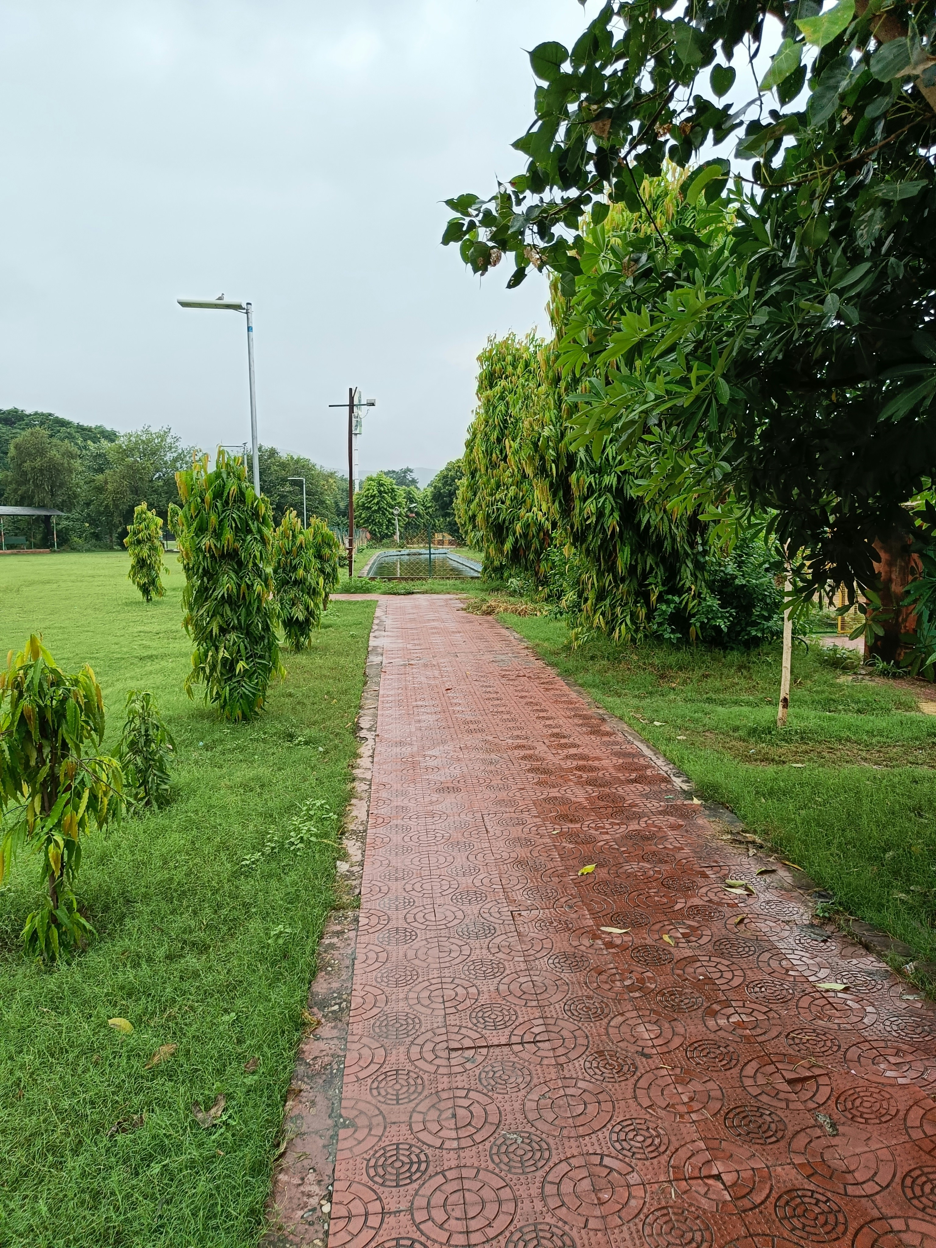 A winding pathway bordered by lush greenery and trees, leading toward a distant sports area under an overcast sky.