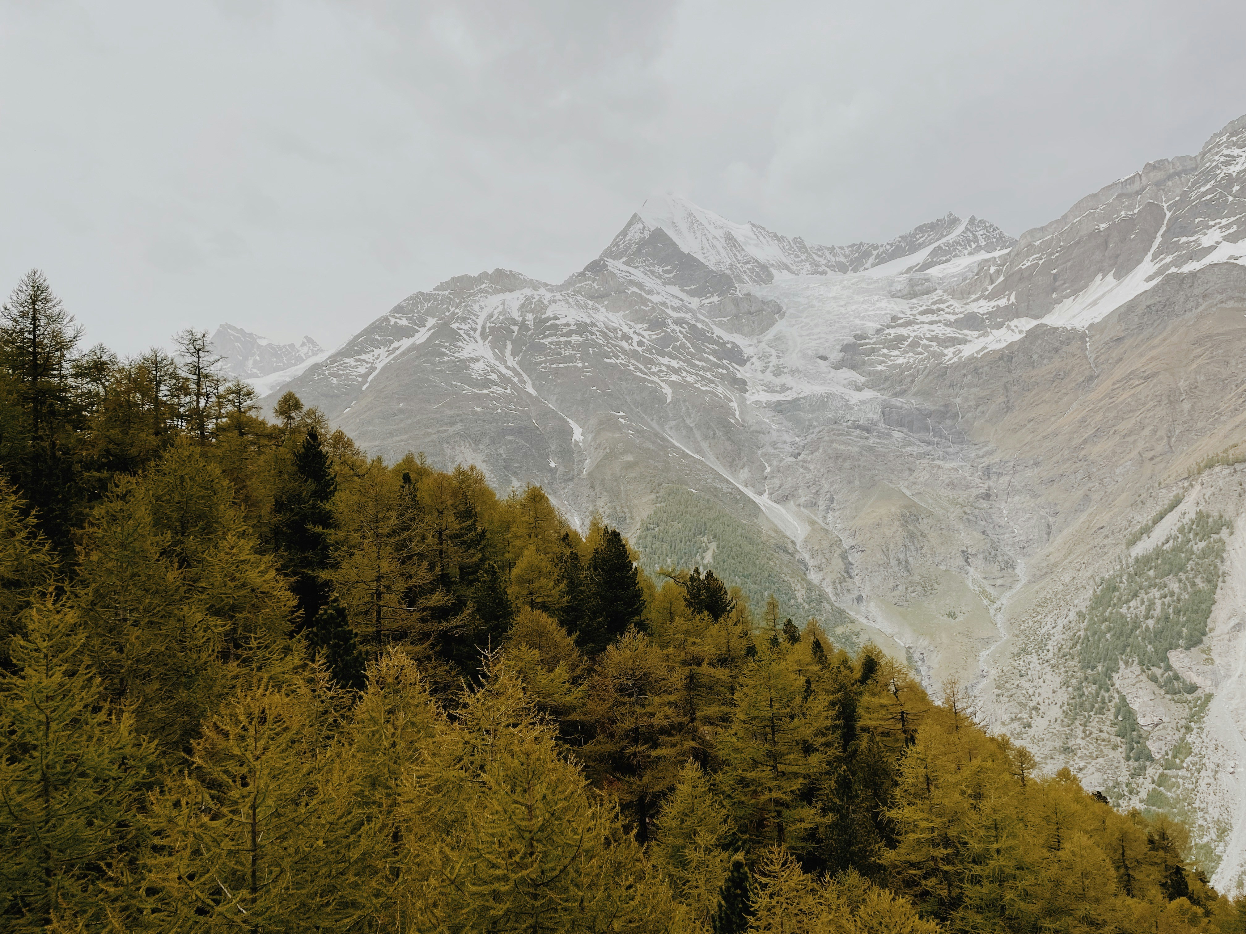 A view of a mountain range with trees in the foreground photo – Free ...