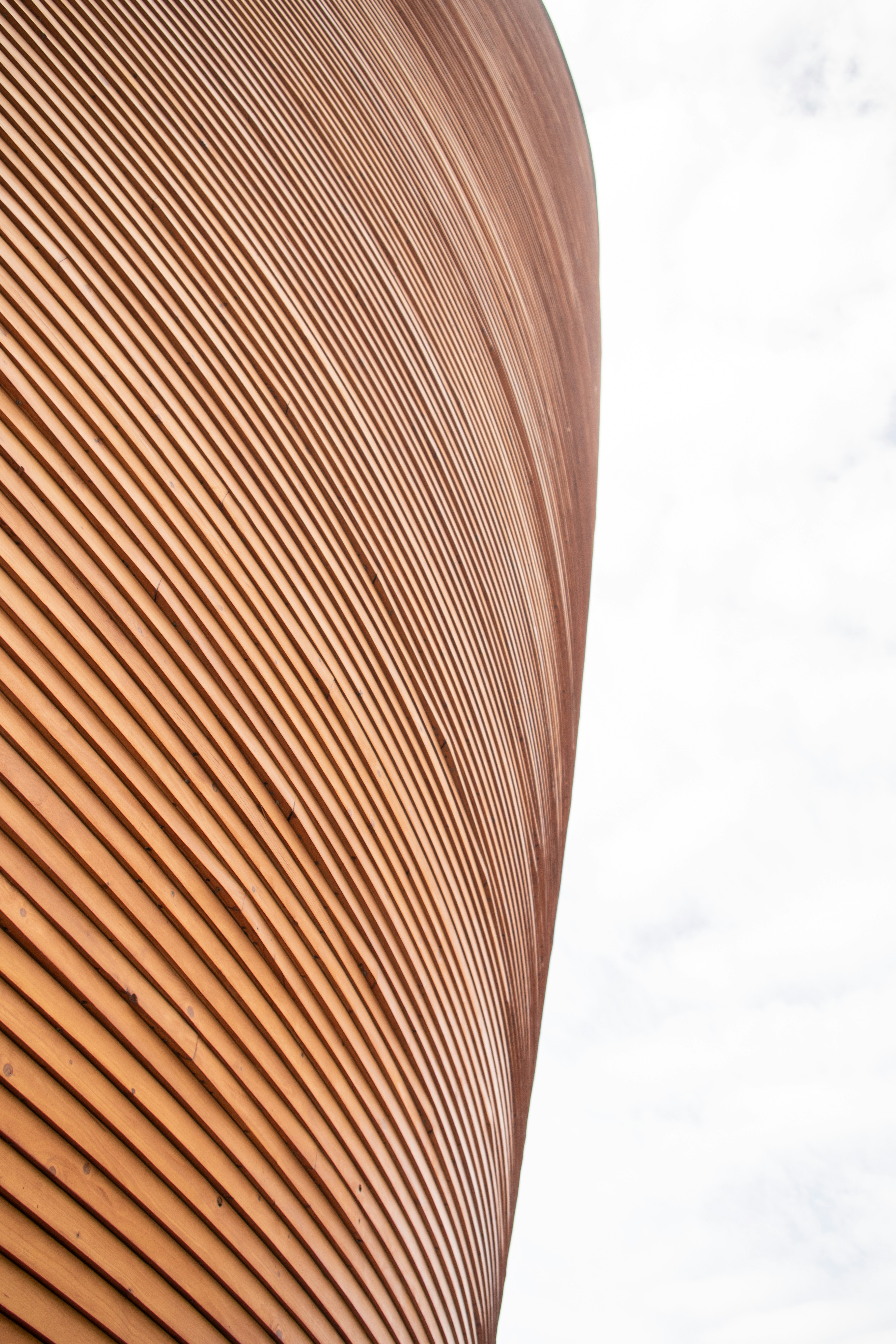 Curved wooden panels forming a smooth facade against a bright sky.