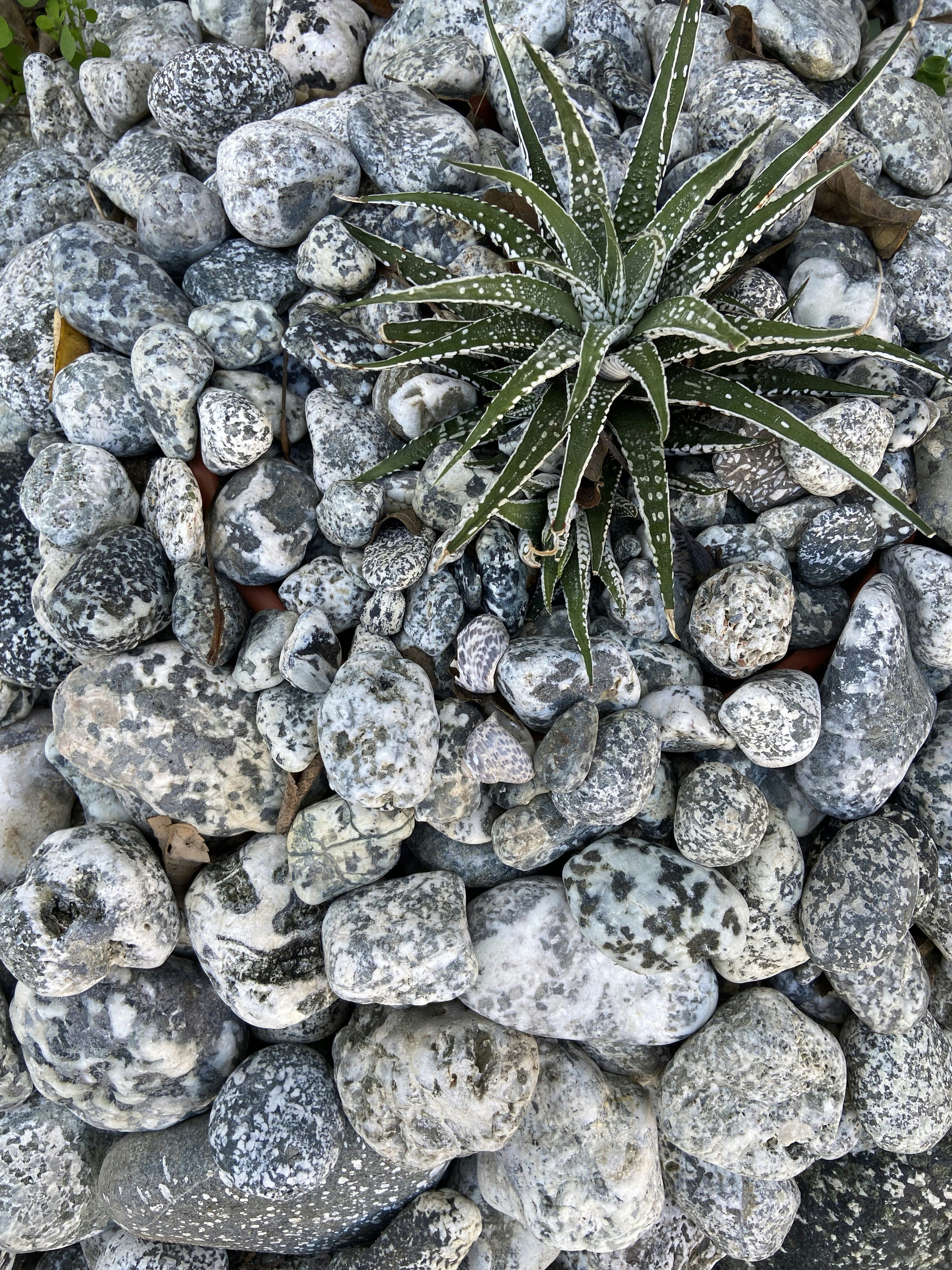 Rock Art Gallery. Kalavasos Village, Cyprus.