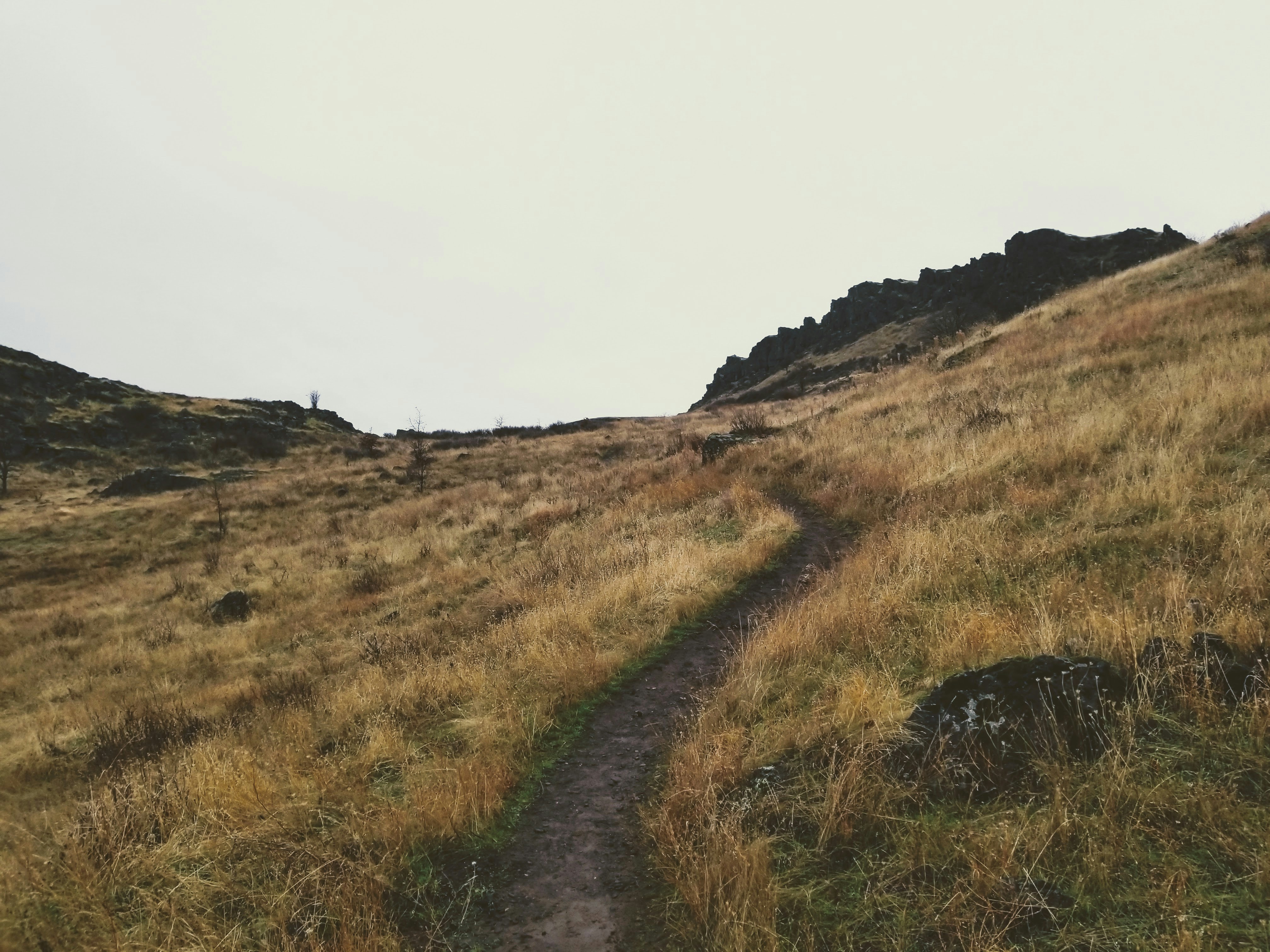 A dirt path going up a grassy hill photo – Free Lyle Image on Unsplash