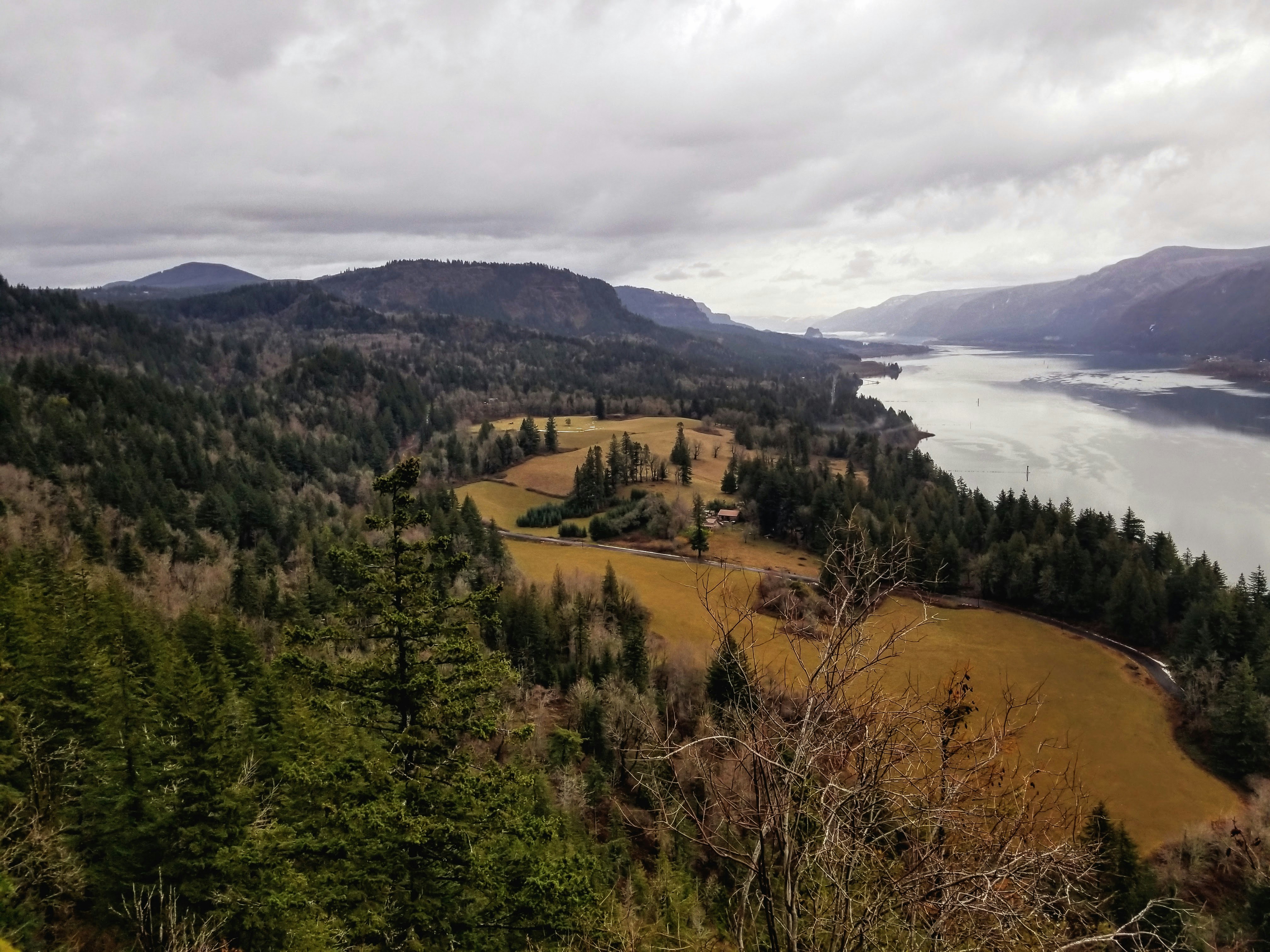 Overlook Corridors: A Panoramic Forest-Fringed Valley Viewing the River
