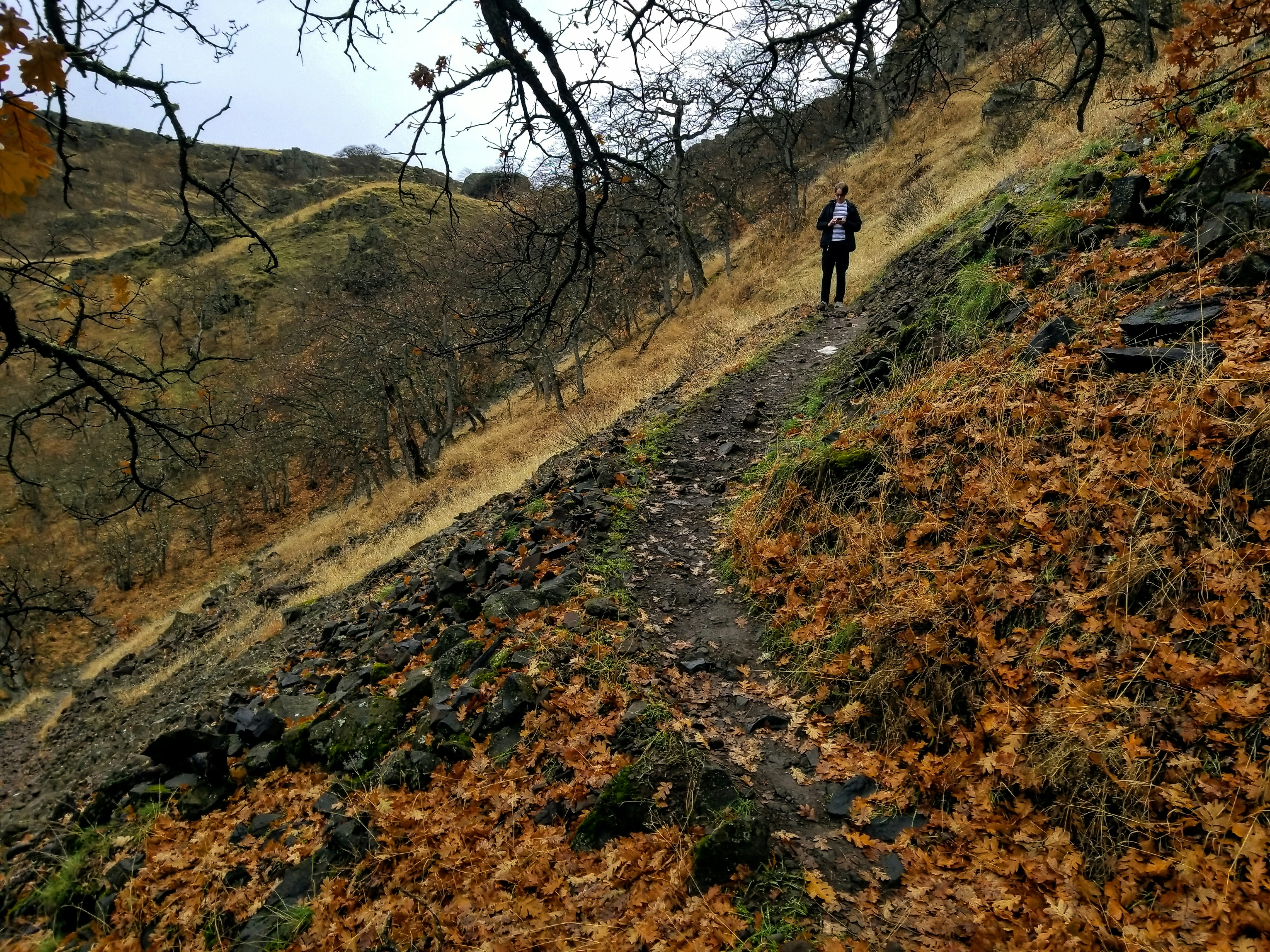 Autumn Ridge Trek: A solitary hiker on a rocky, leaf-strewn slope