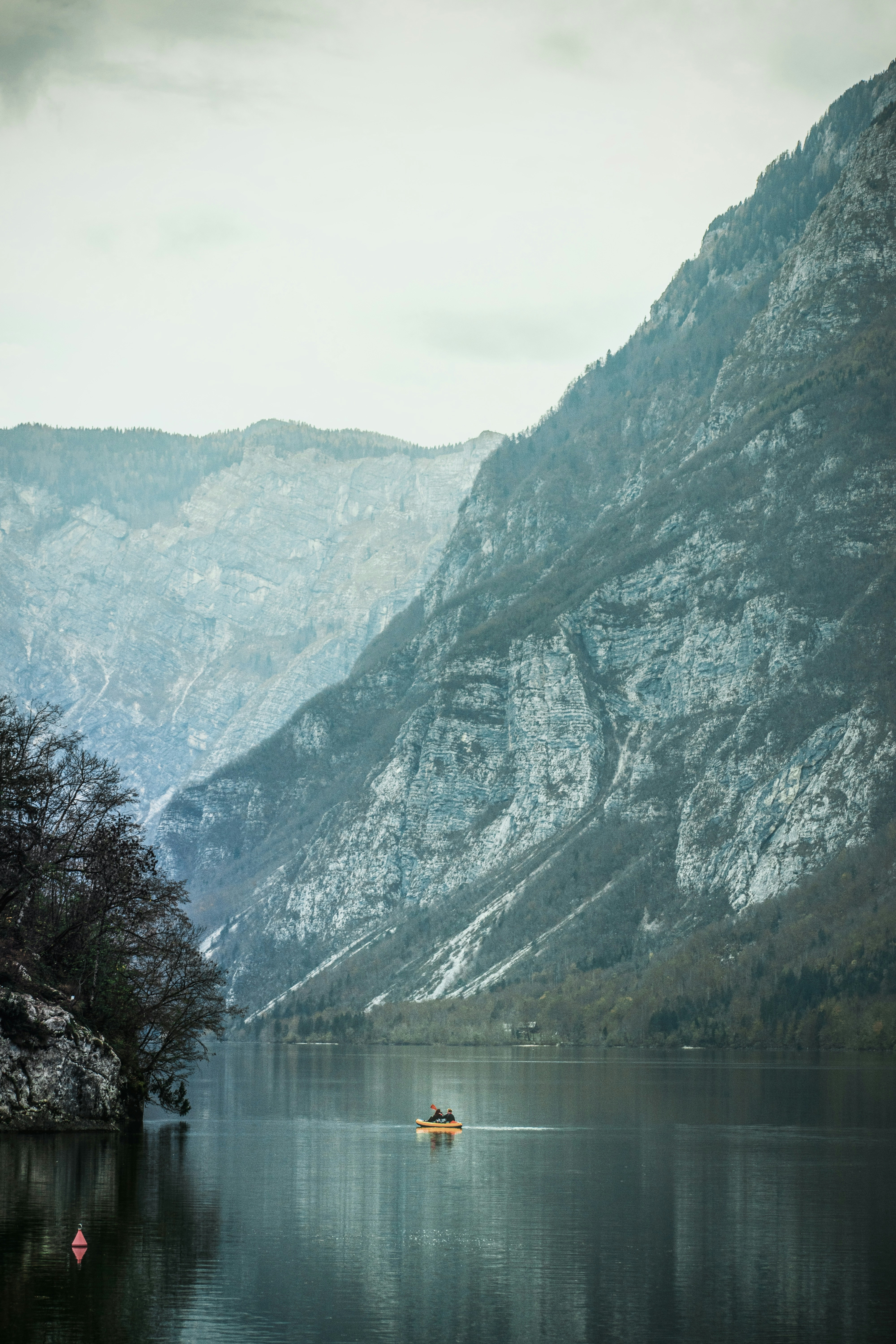 Photo by Vid Adam with Nikon D5600