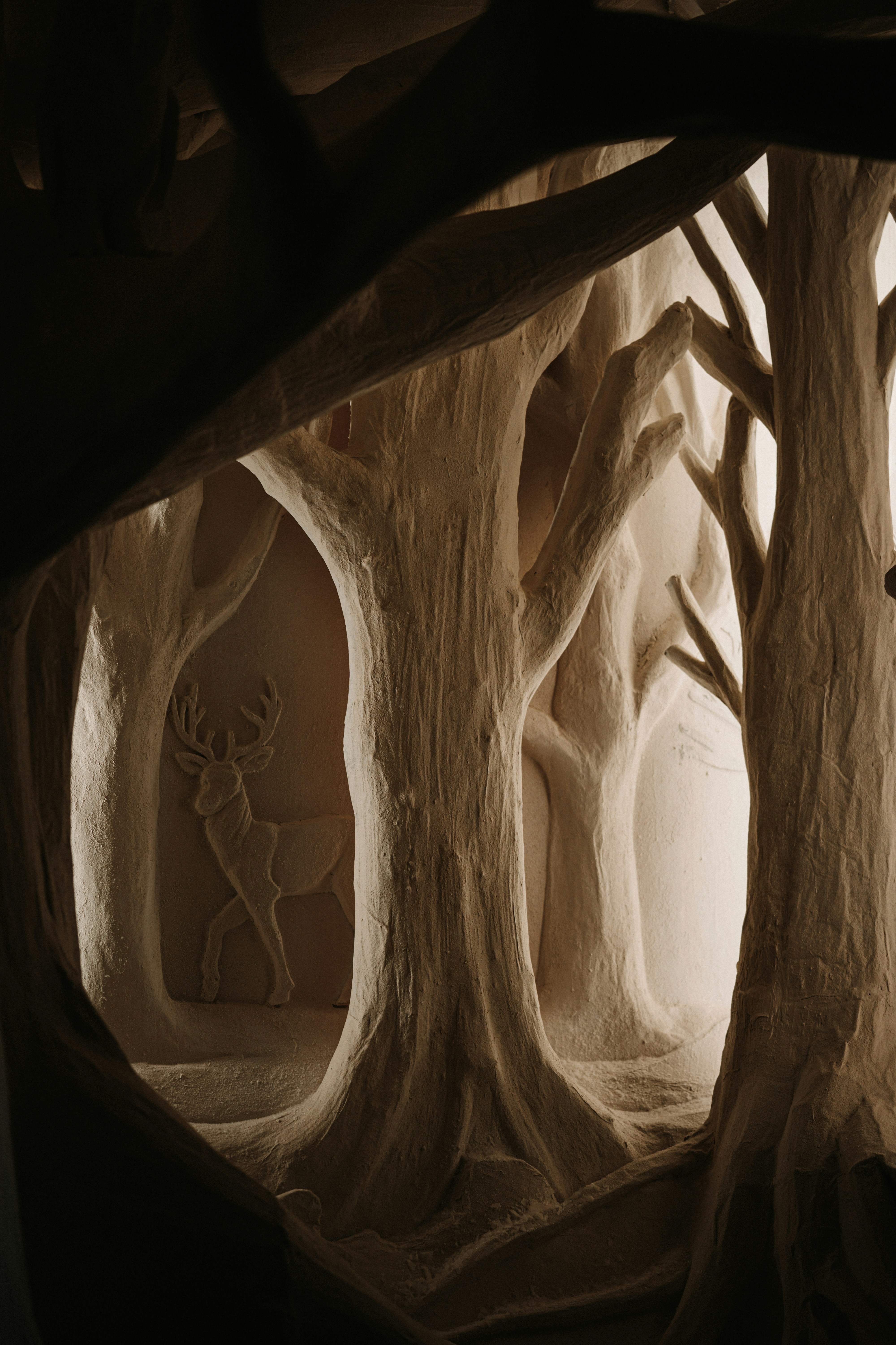 Photo by ZHENYU LUO with Sony Alpha 7 III