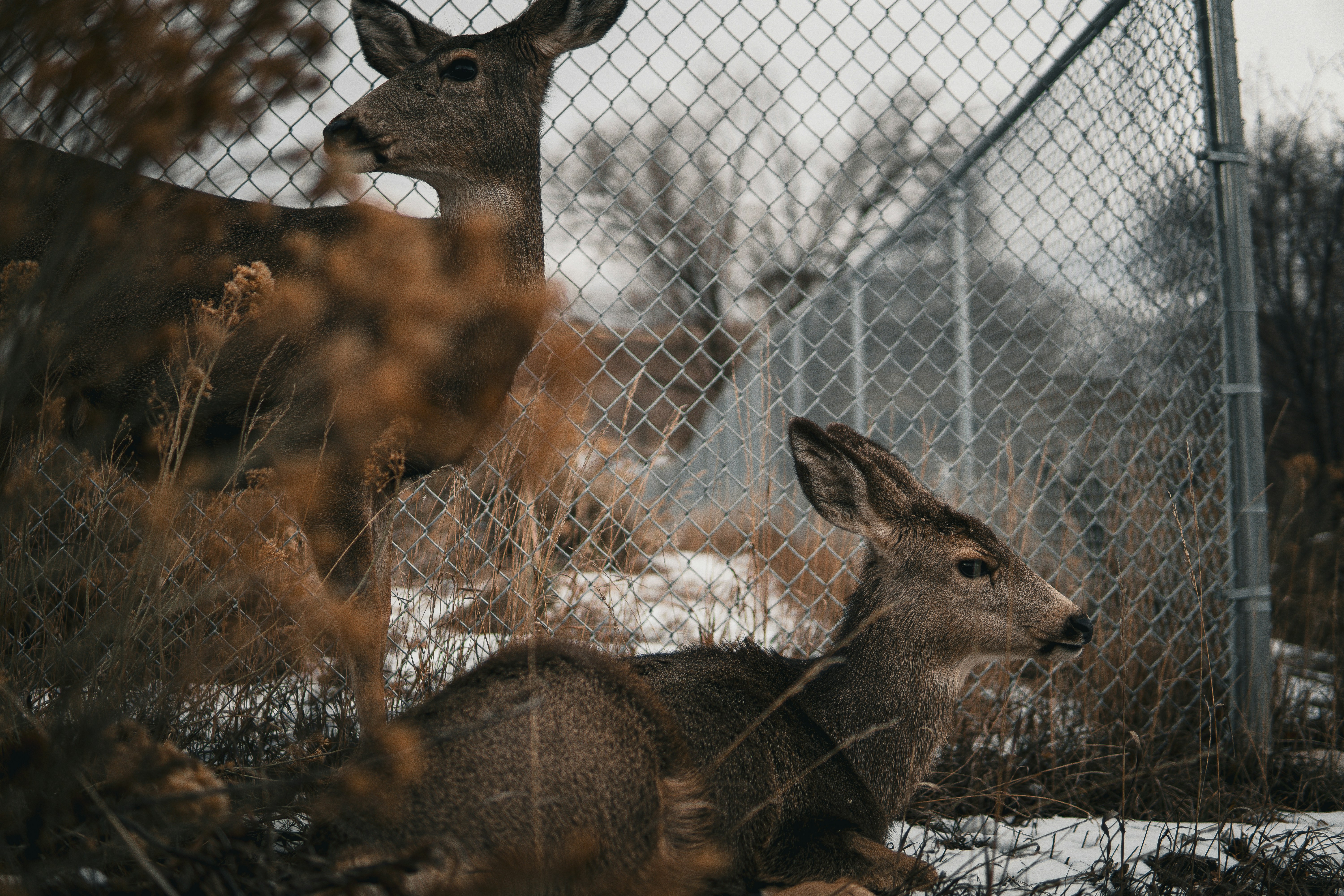 Photo by Cullen Carter with Sony Alpha 6400