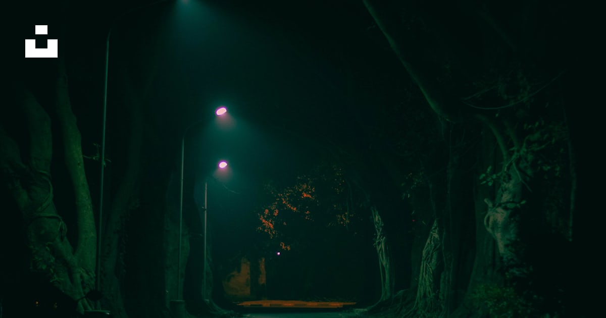 가로등이 있는 밤의 어두운 거리 사진 Unsplash의 무료 길 이미지