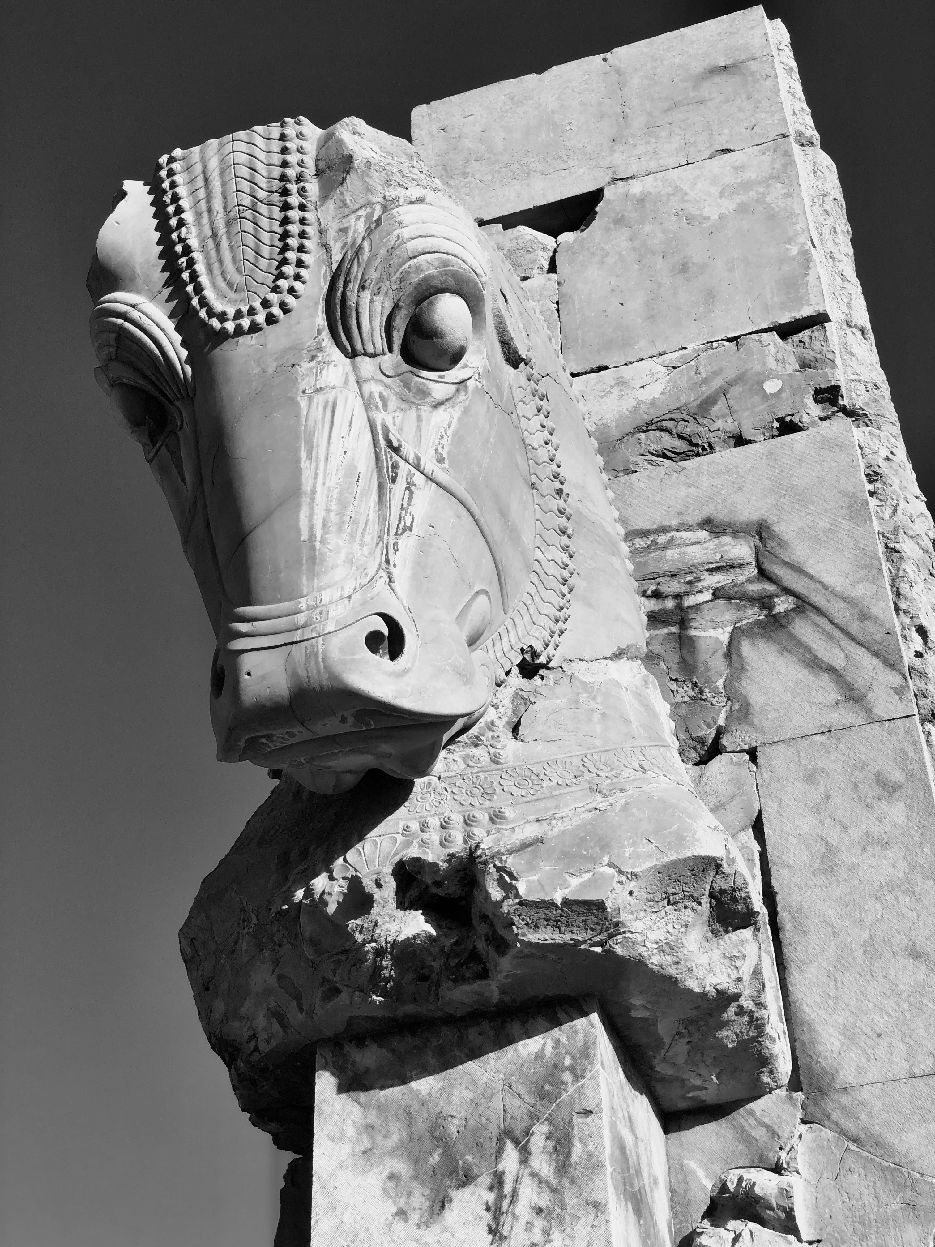 a black and white photo of a statue of a horse