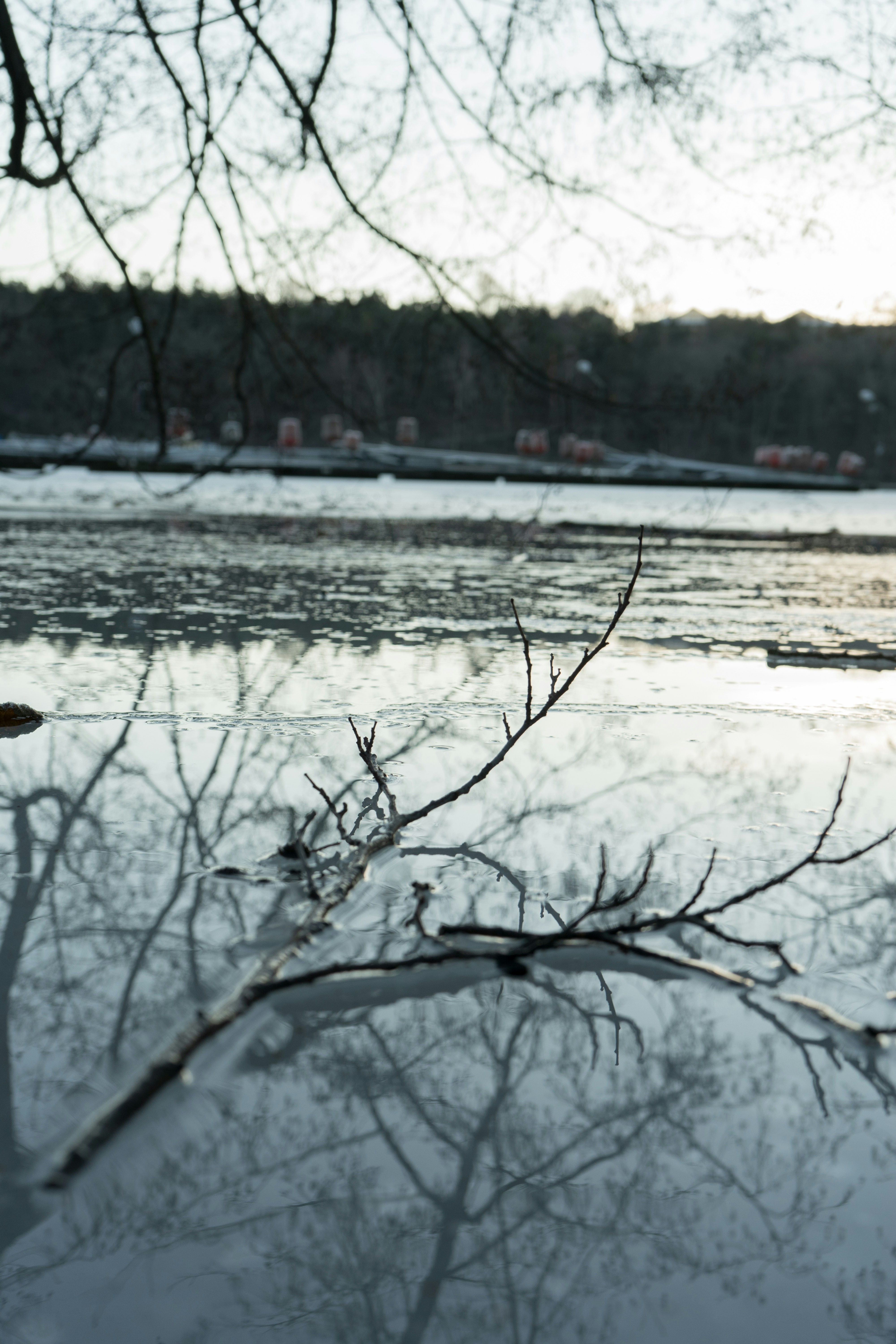 Photo by Evelinn Idenfors with Sony Alpha 7 II