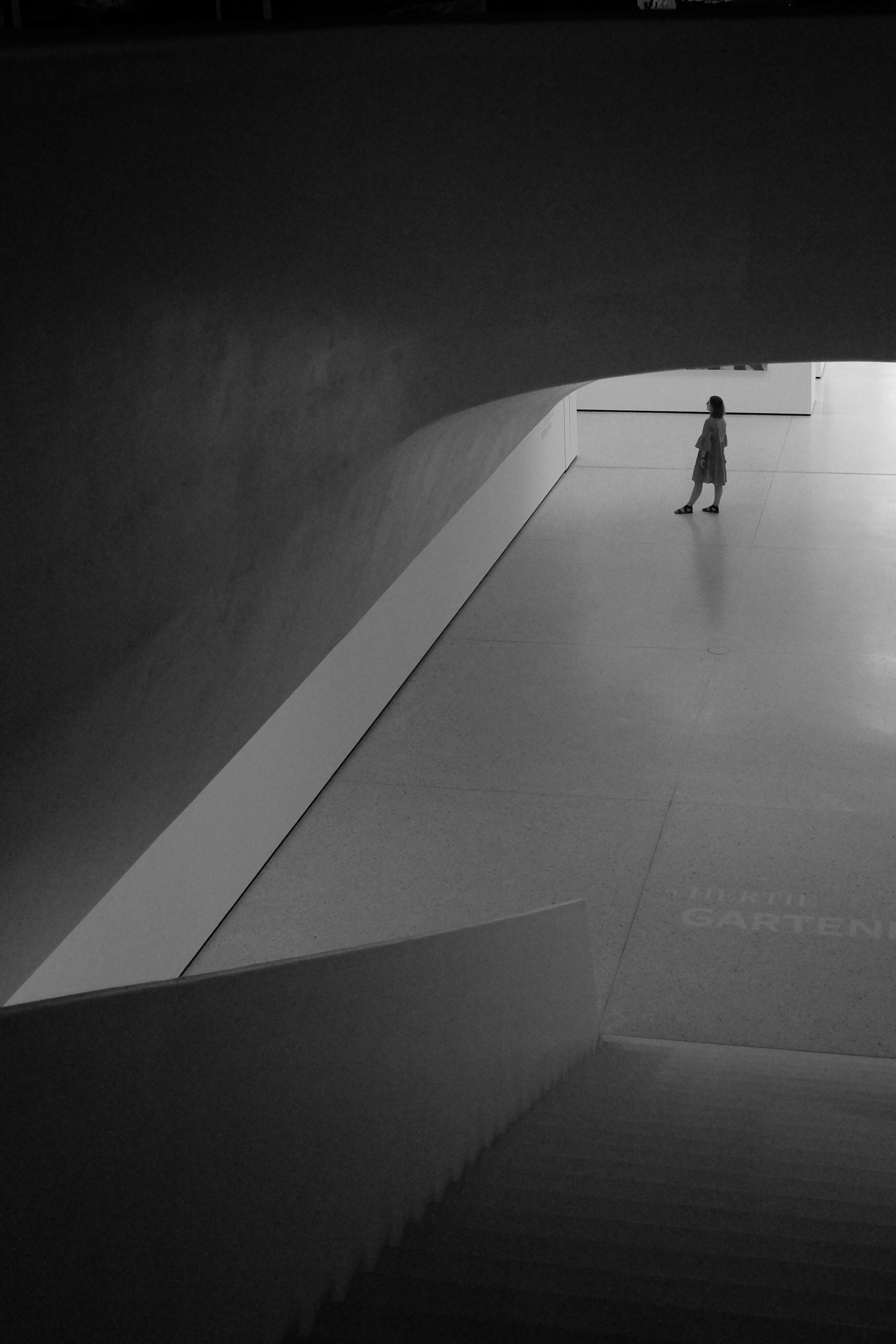 Solitary Figure at the Edge of Light
