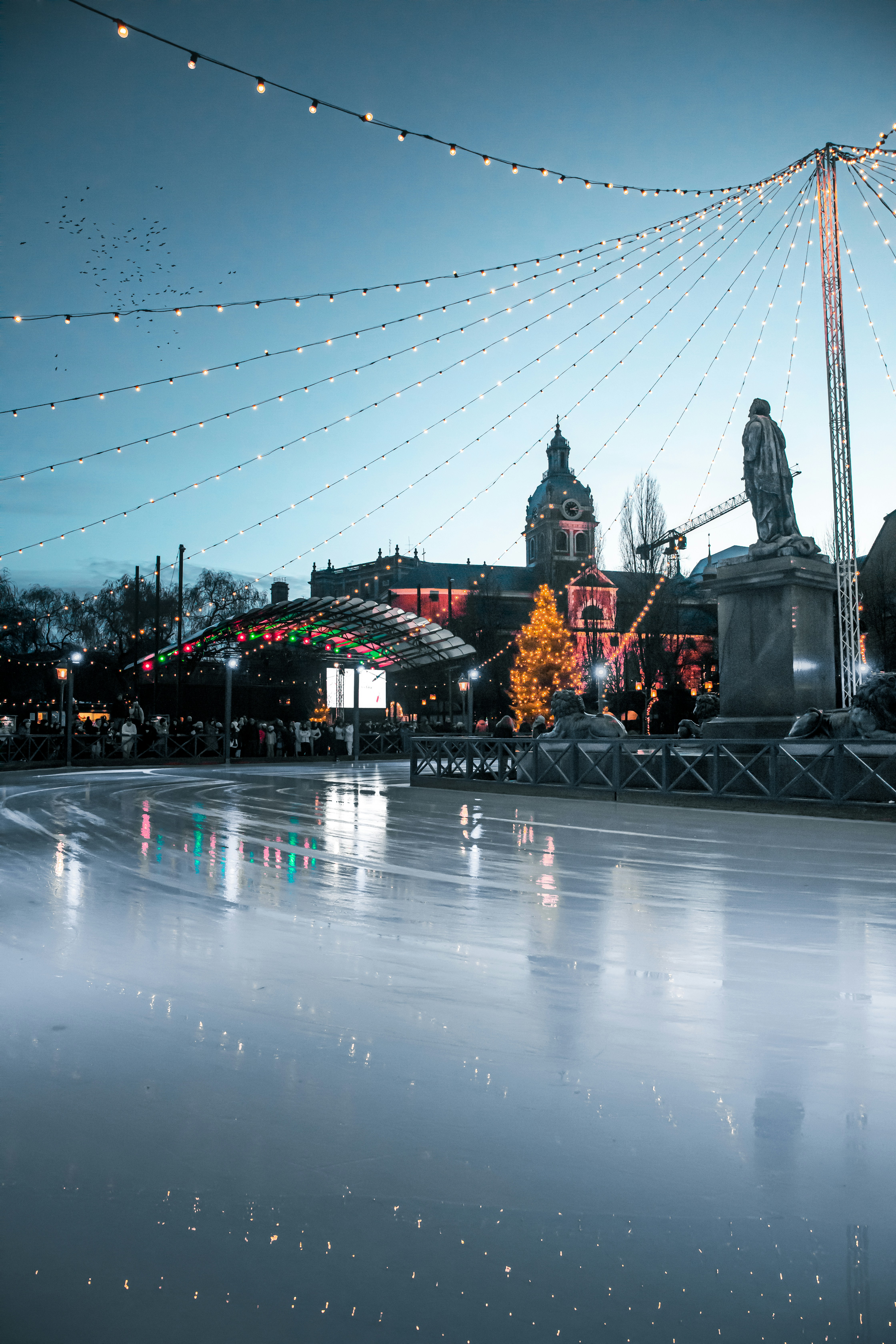 A skating rink with lights and buildings in the background photo – Free ...
