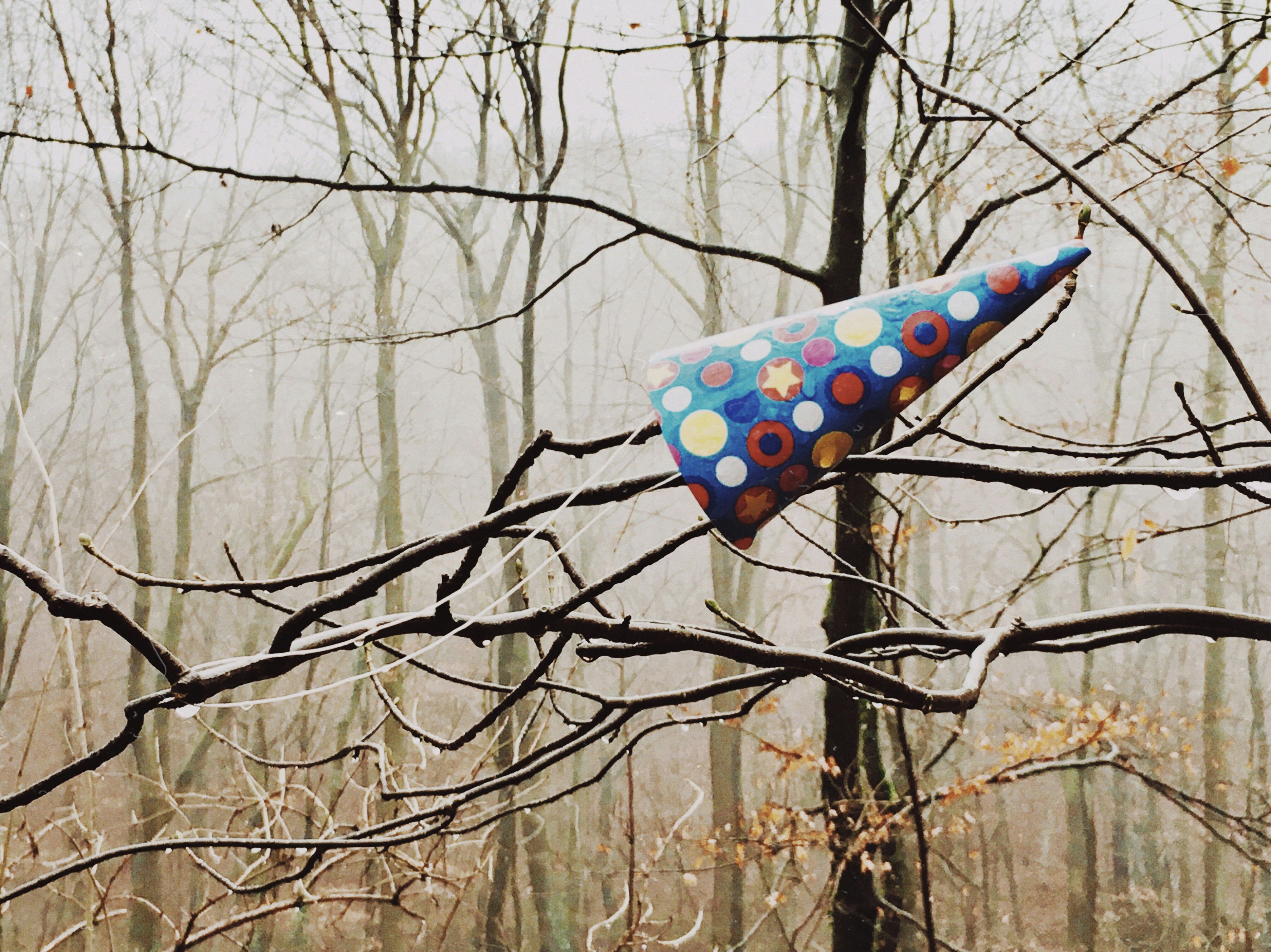 ... ein Partyhut hängt verloren an einem Ast im Wald ...