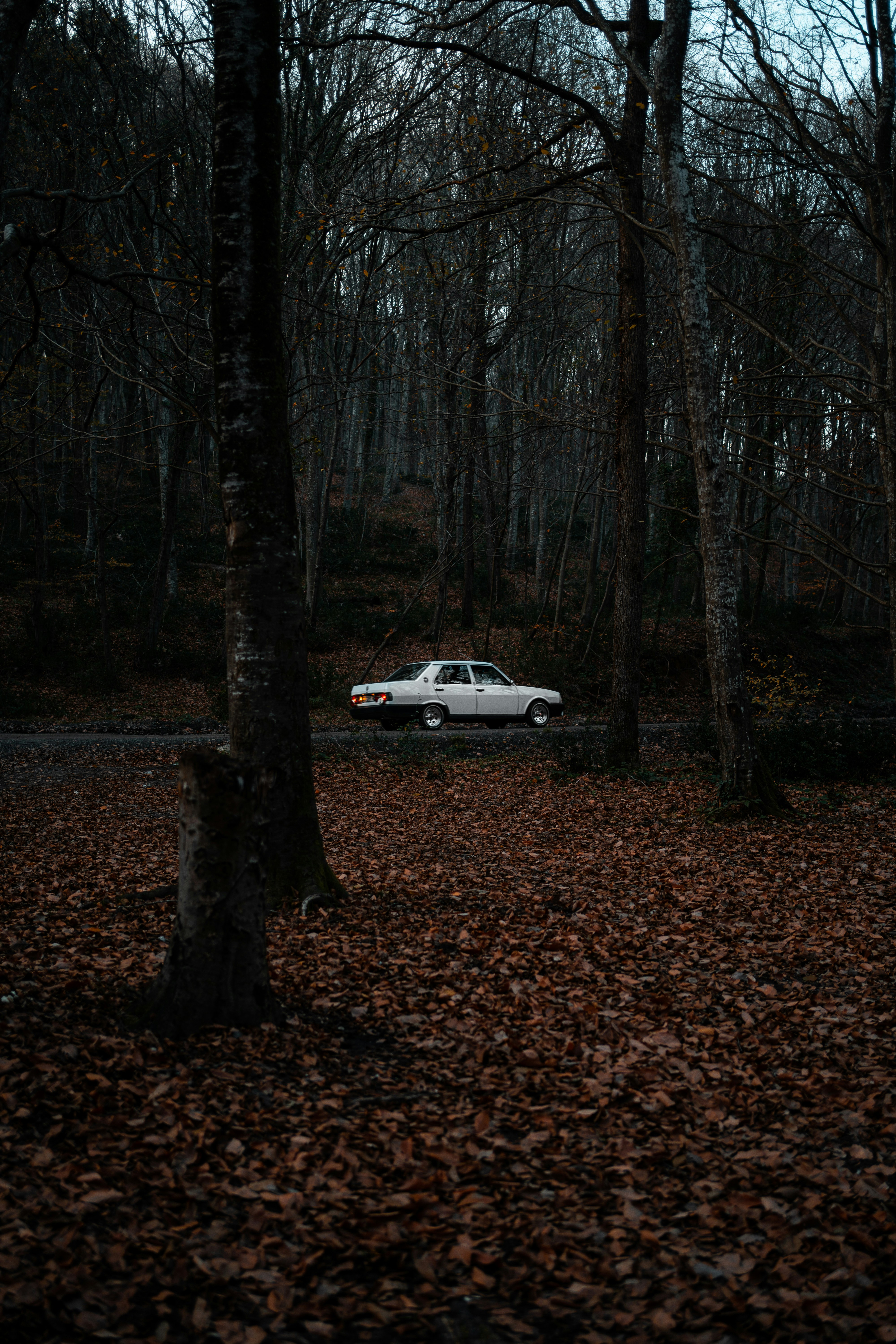 Photo by Mohcen Cherifi with Sony Alpha 7 III