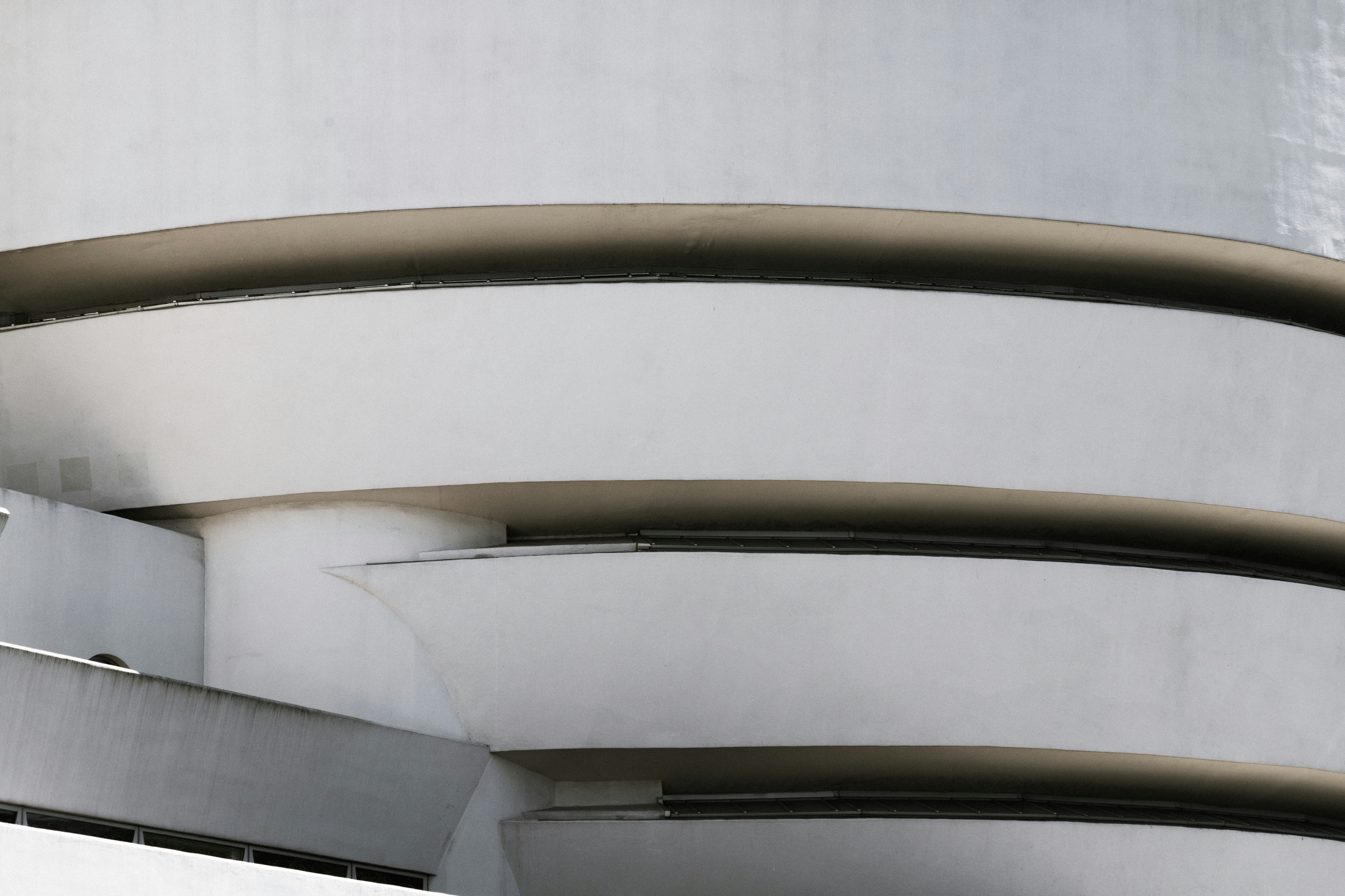 Architectural Curves of the Guggenheim