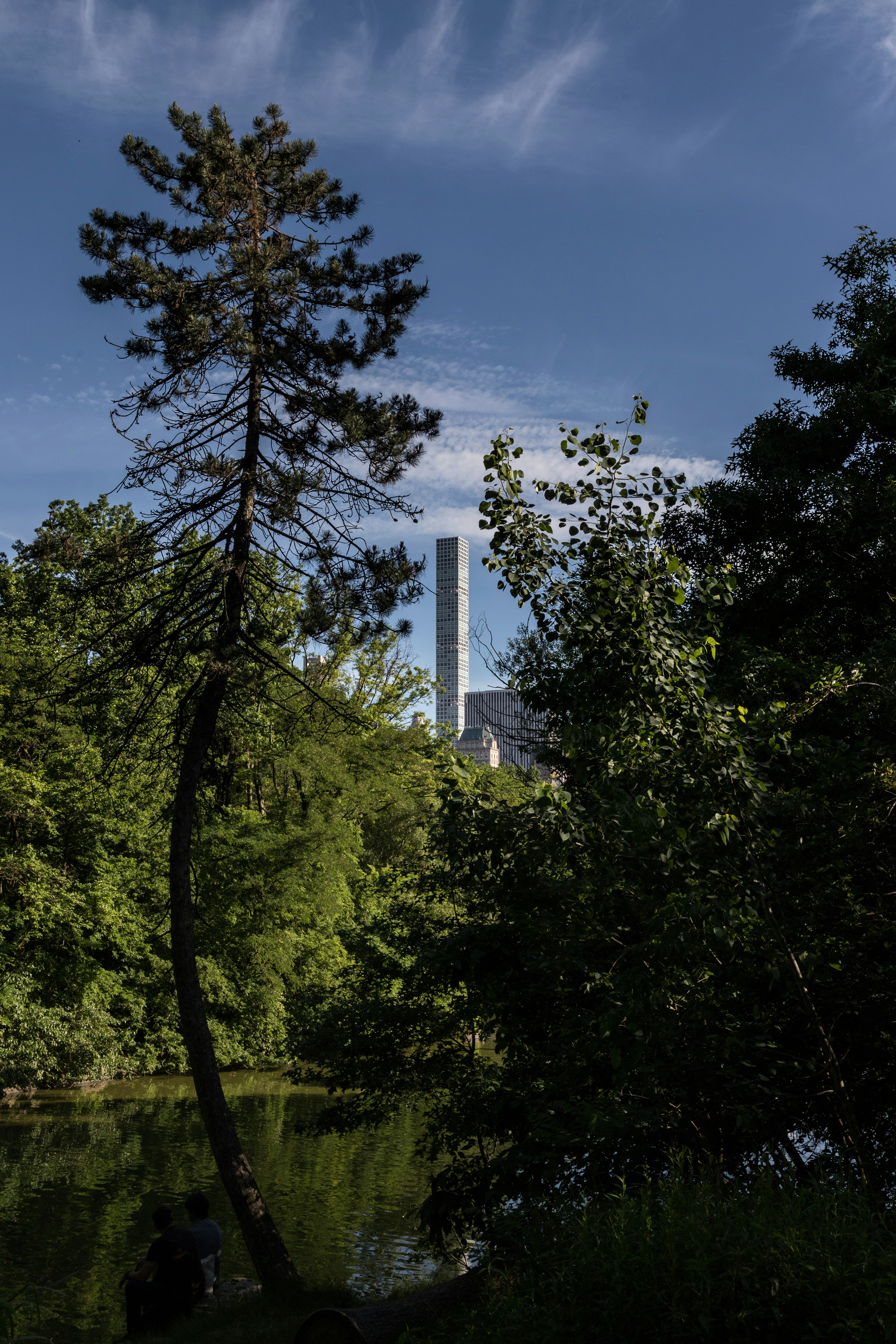 A tall building towering over a forest filled with trees photo – Free ...
