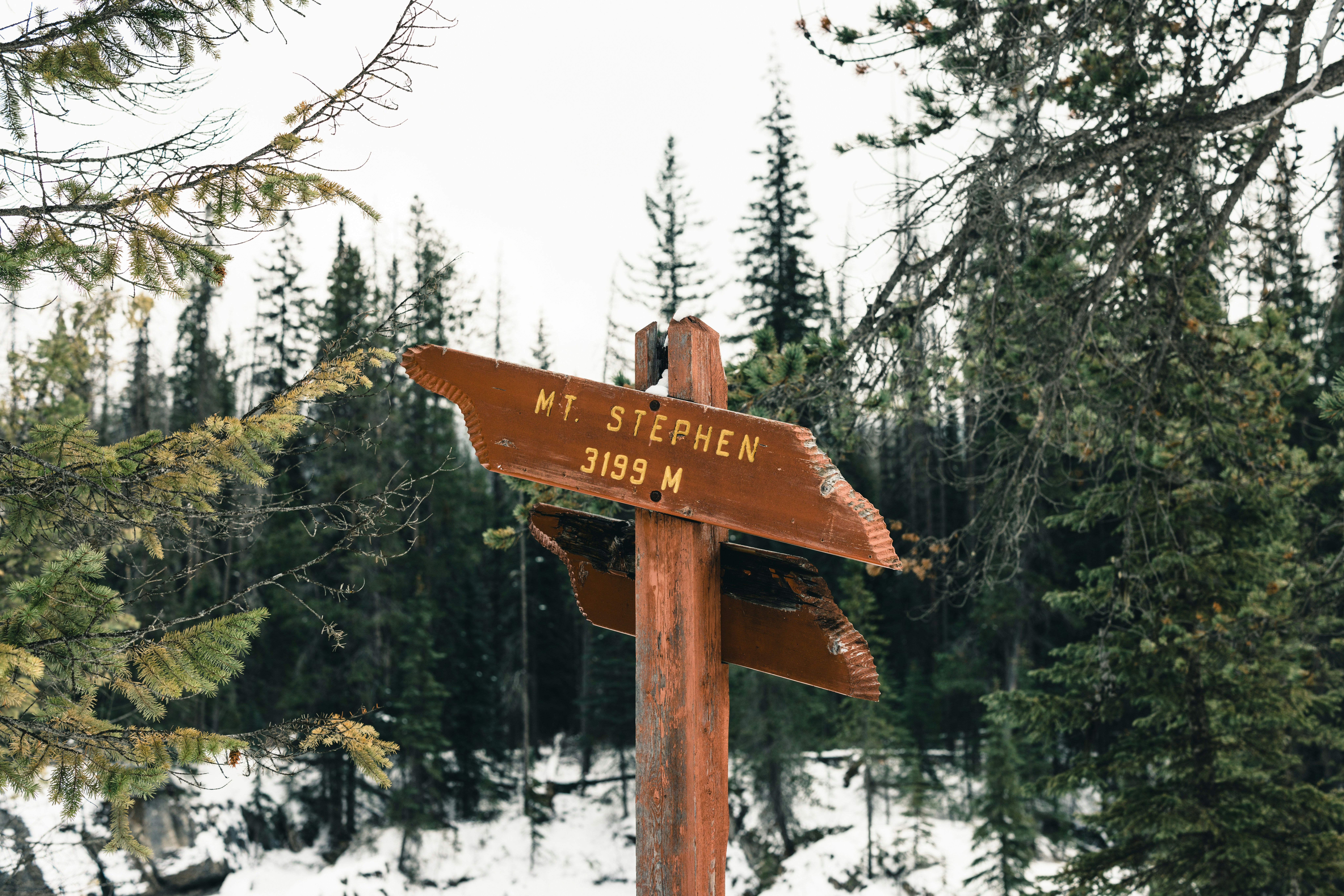 A wooden sign pointing in the direction of mt stephen photo – Free ...
