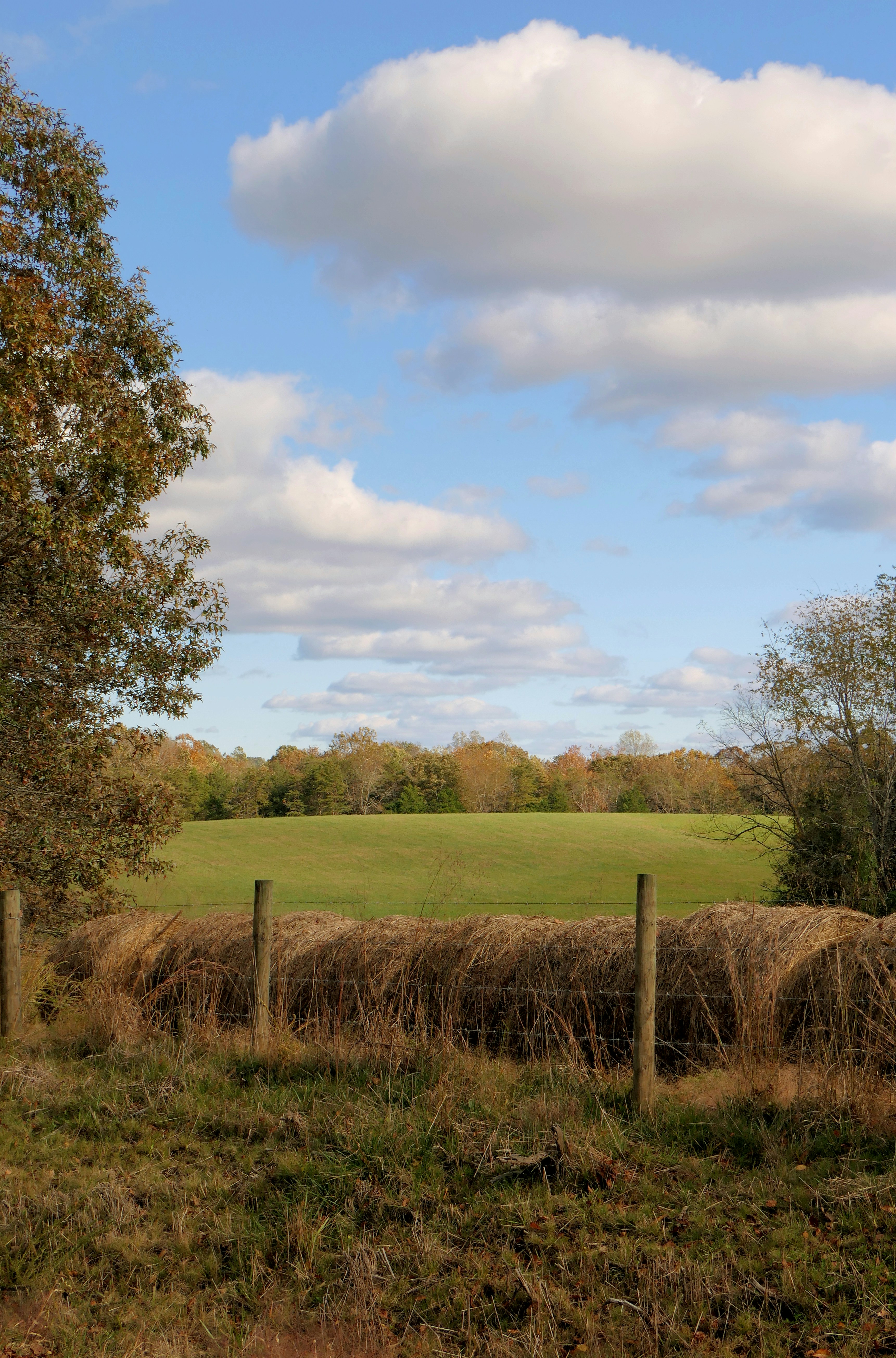 farm field with hay bales along fence