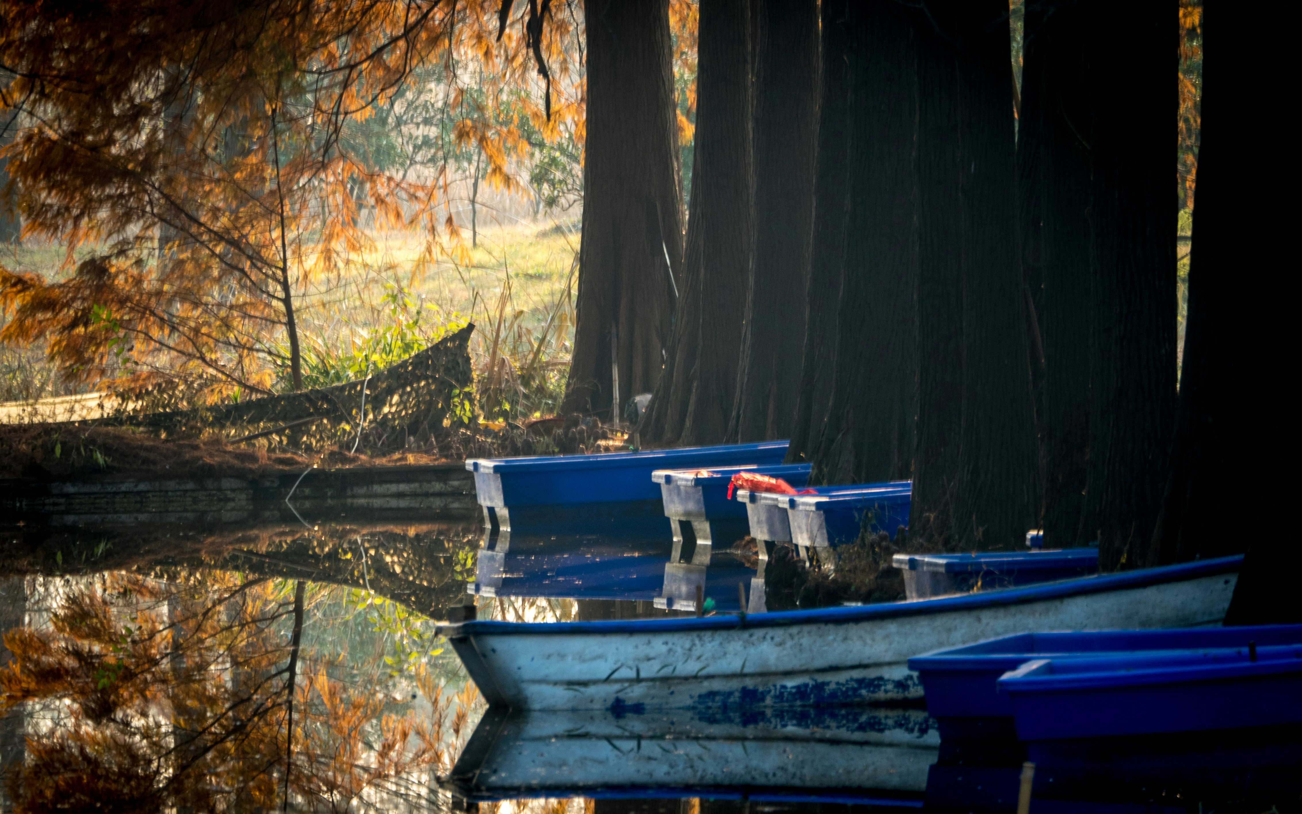 Blue Boats at Dusk: Quiet Reflections Beneath Amber Canopy
