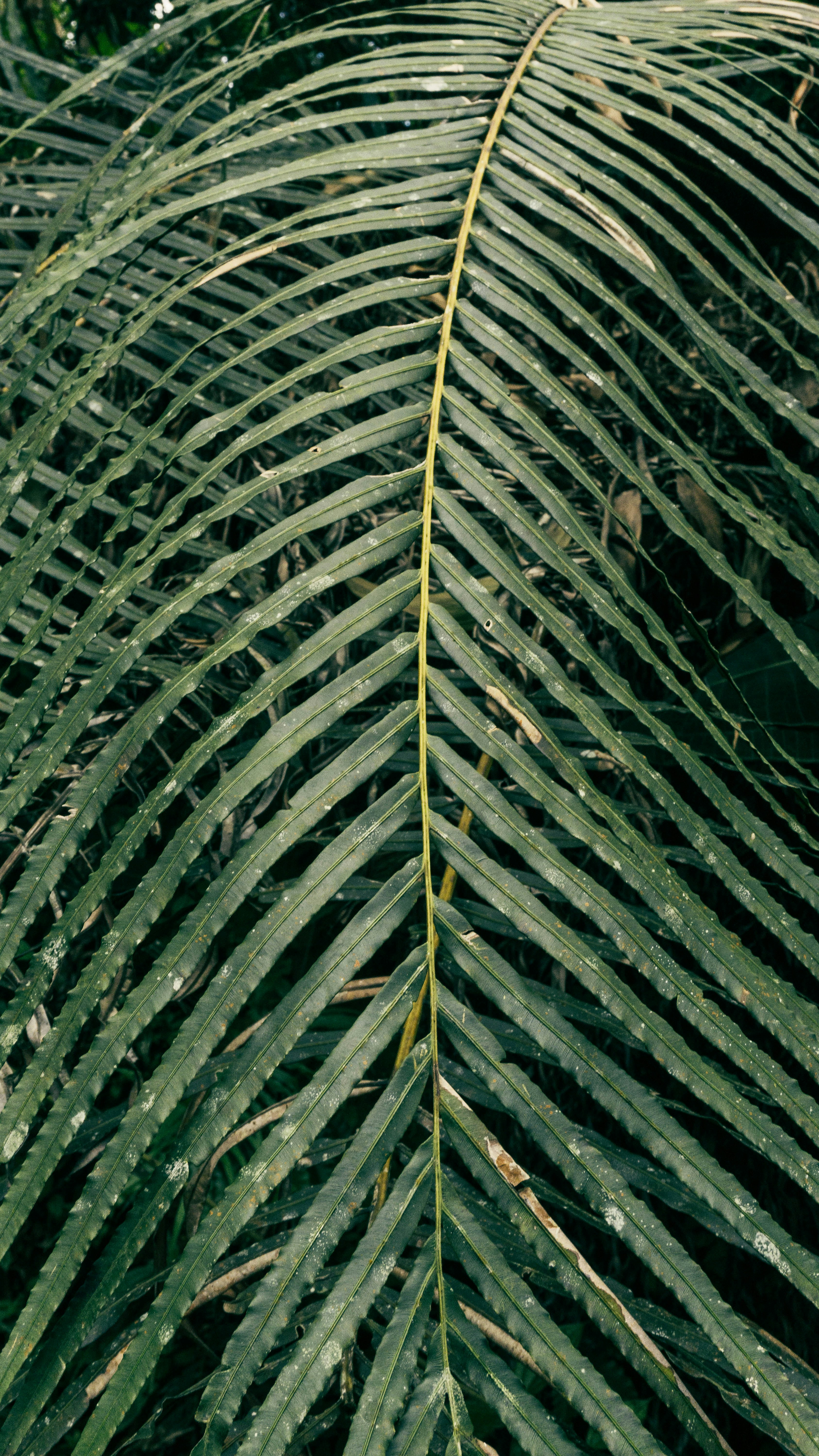 Photo by Anastasiia Malai with Sony Alpha 6000