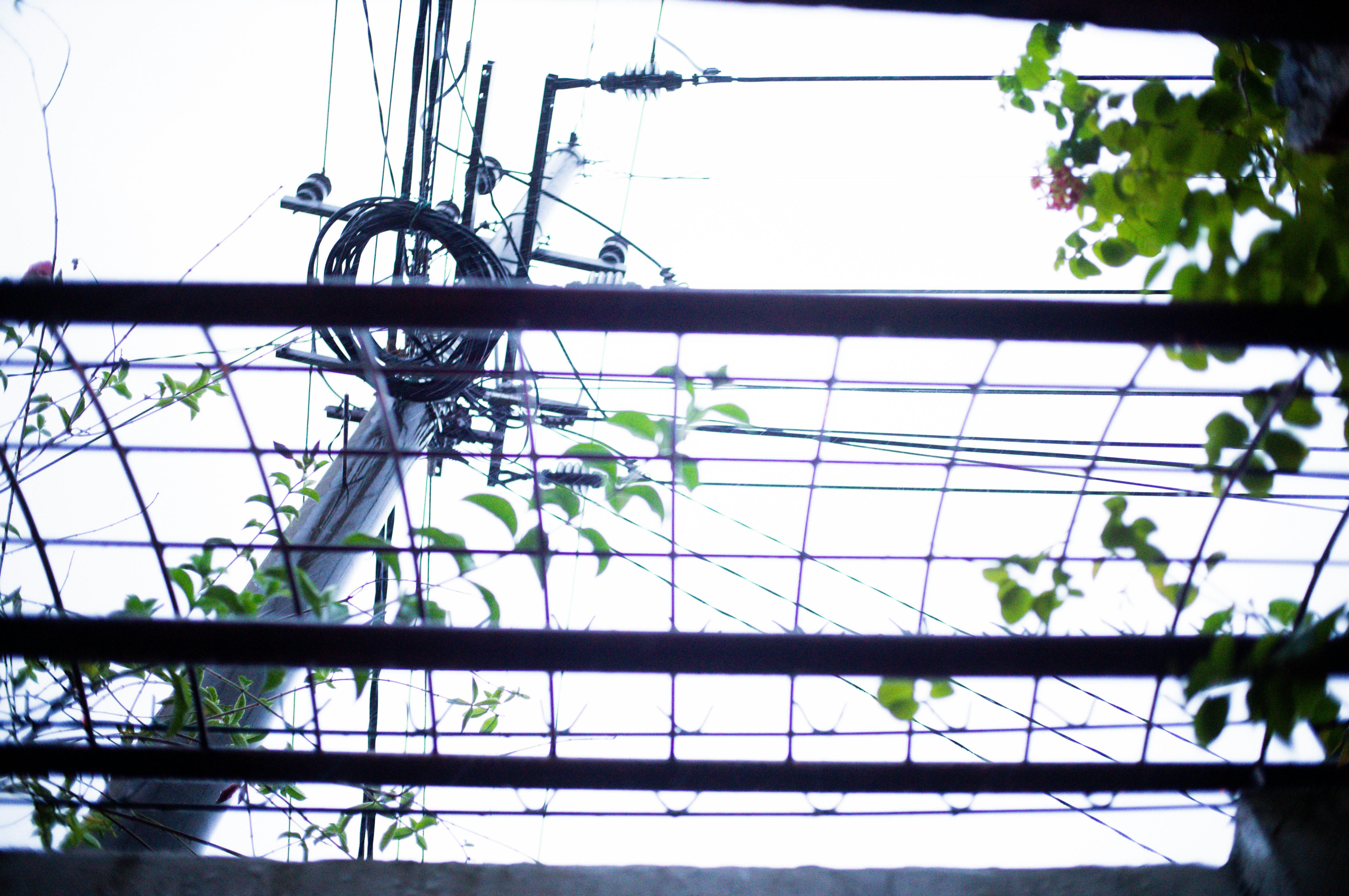 A view of a telephone pole through a wire fence photo – Free Home Image ...