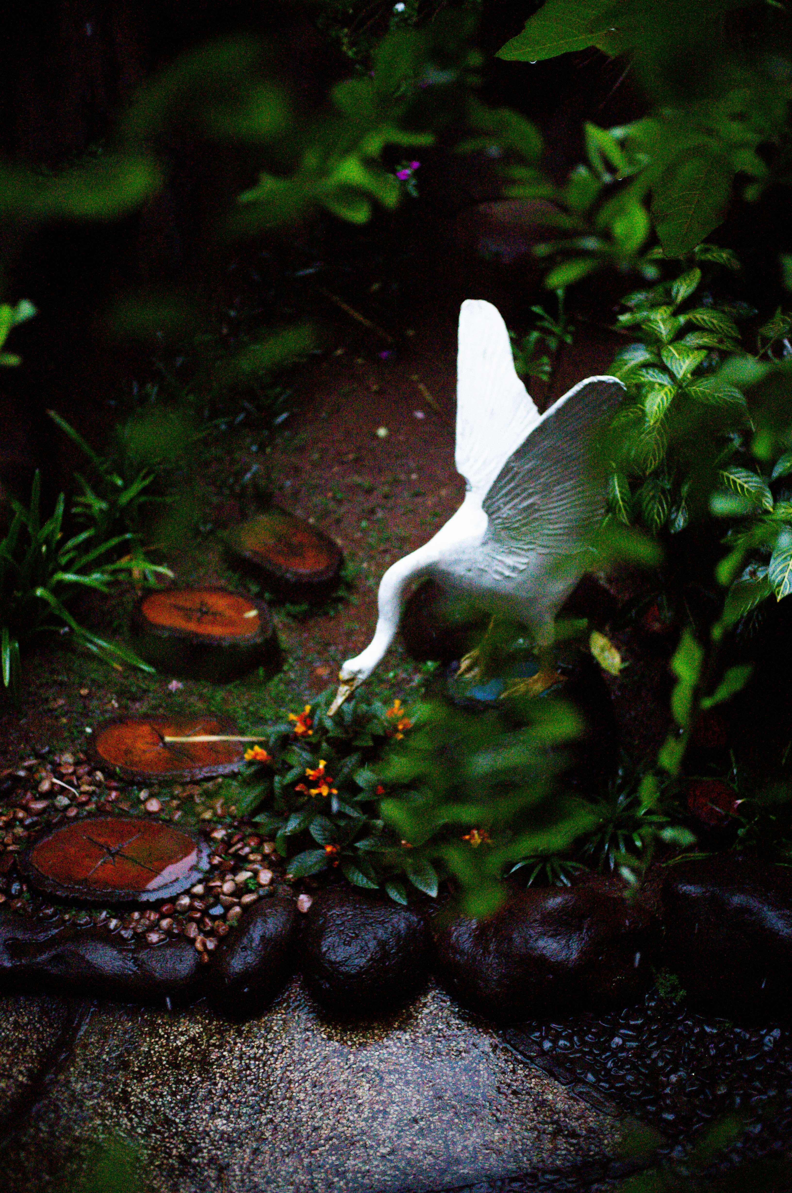 Sample photo from Sony NEX-C3