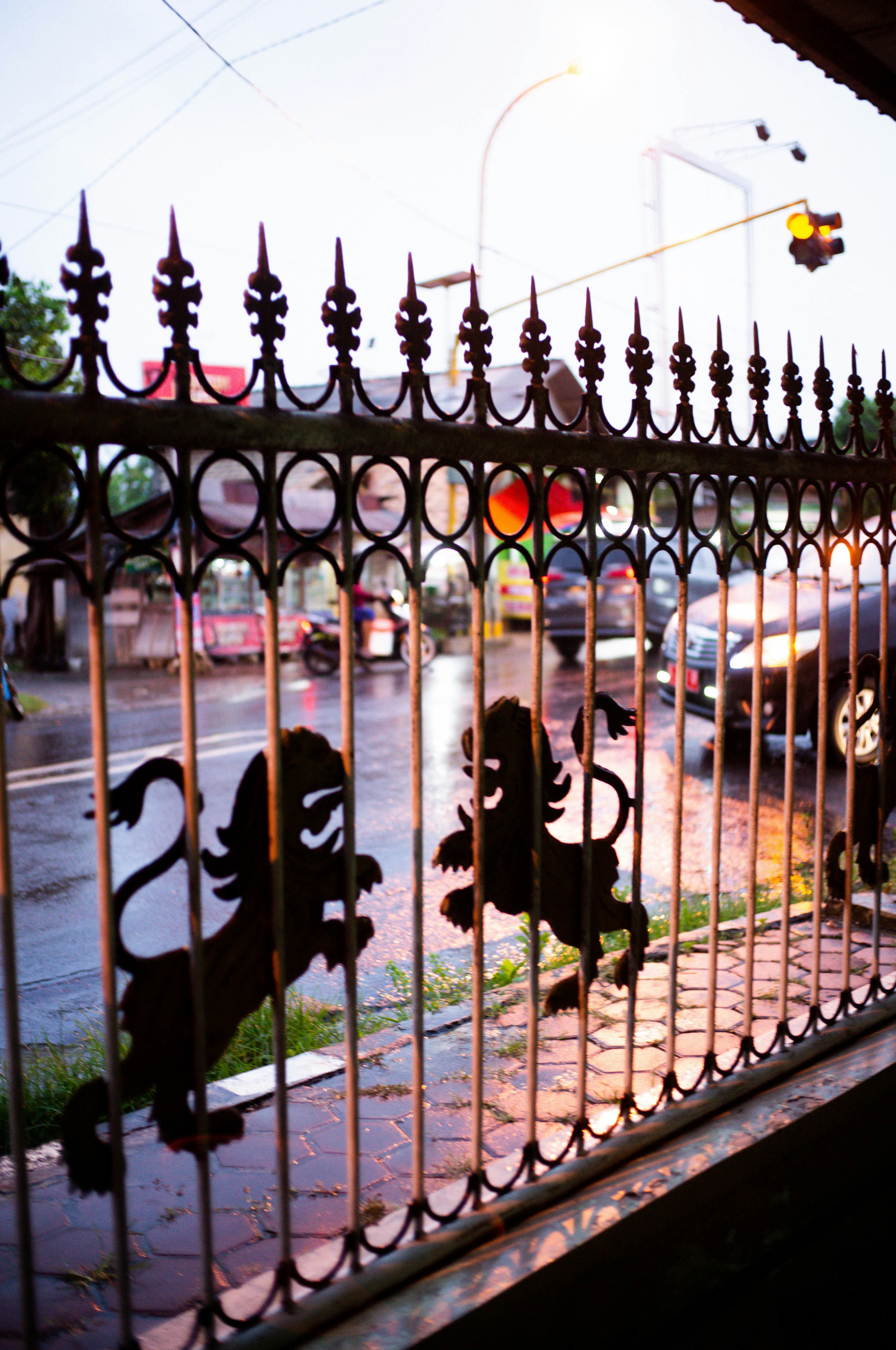 Guardians of the Gate: Silhouette Animals against a Rainy City Street