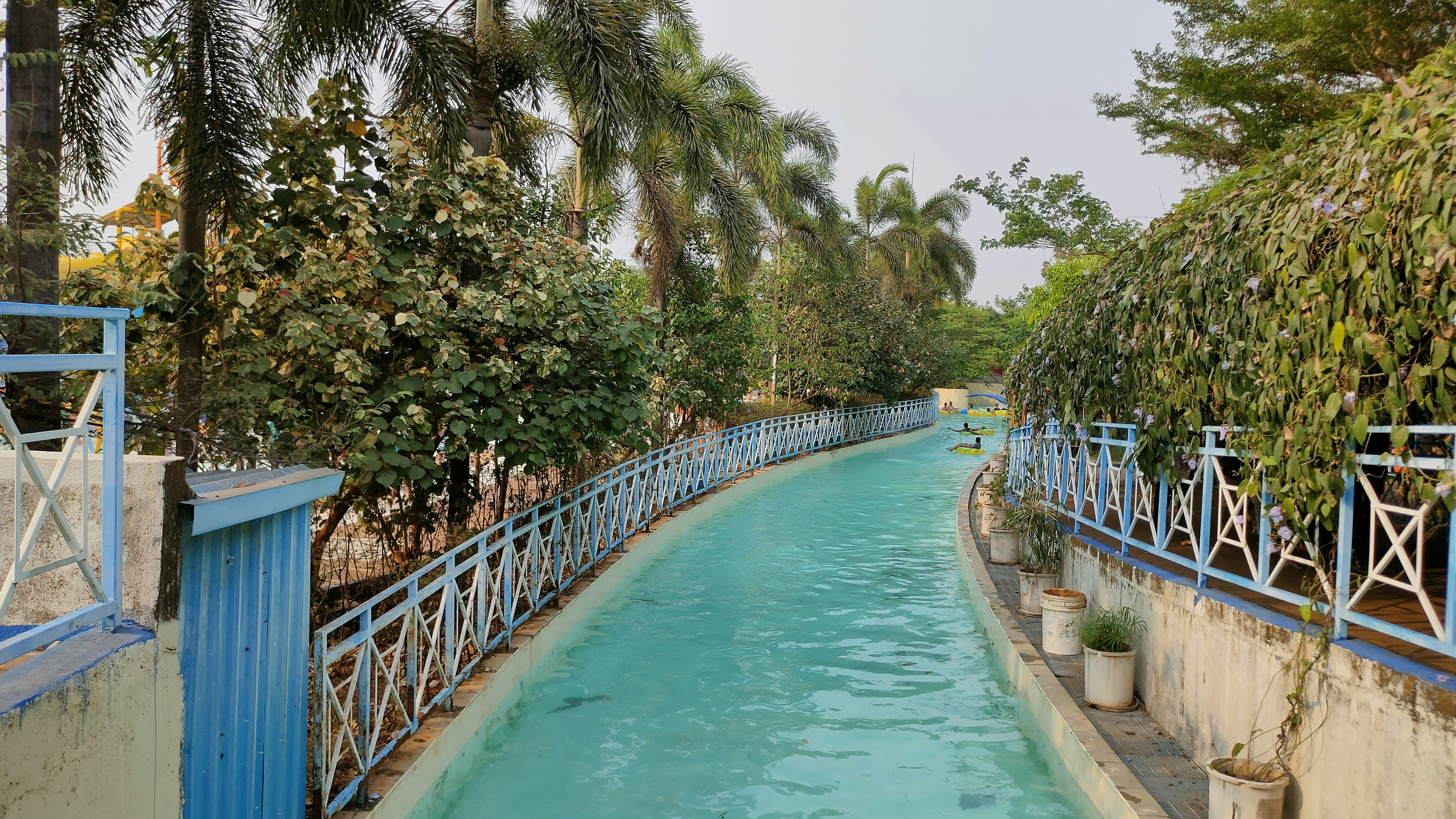 A tranquil waterway bordered by lush greenery and palm trees, inviting a sense of calm and escape.