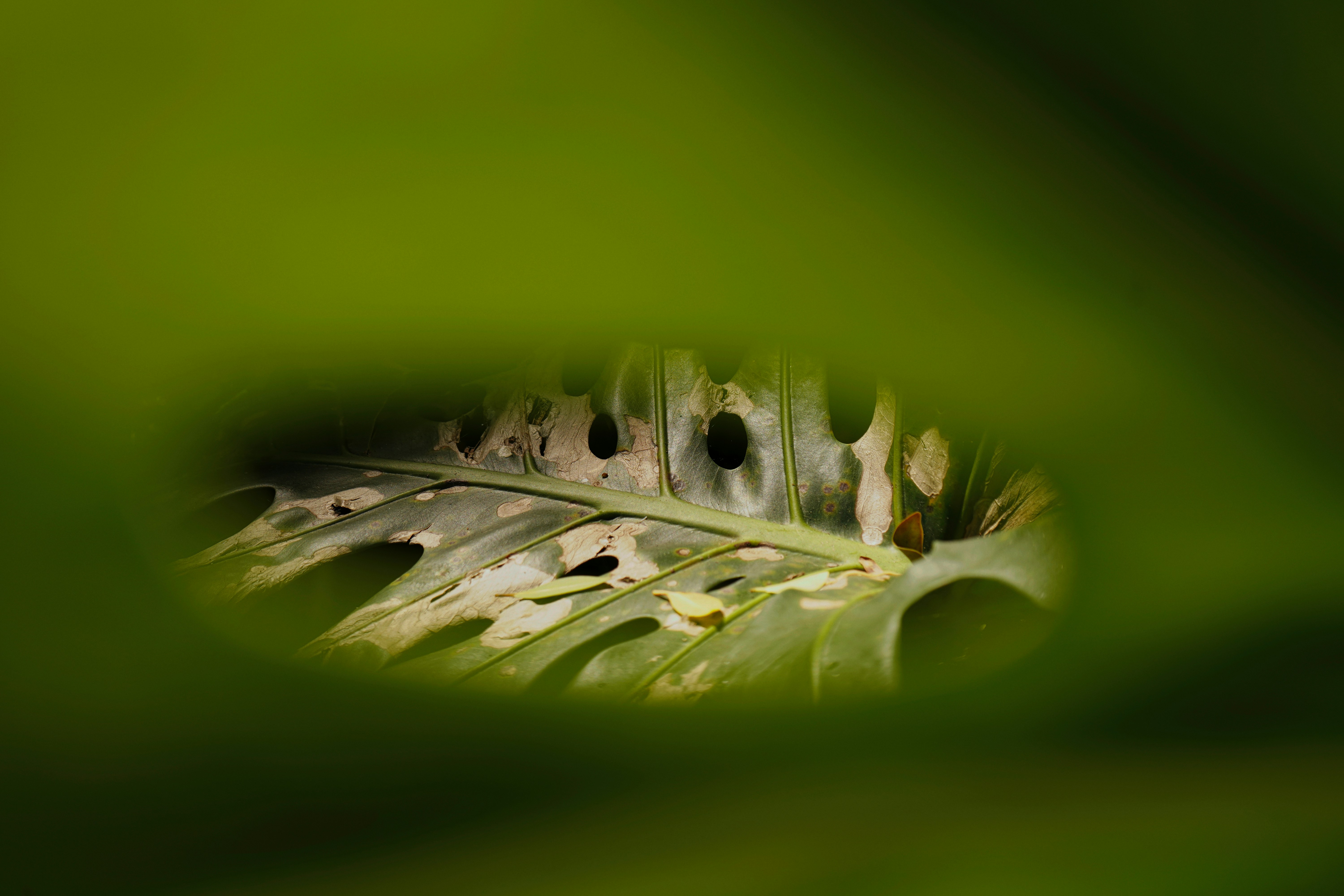 Absolutely natural not ideal texture