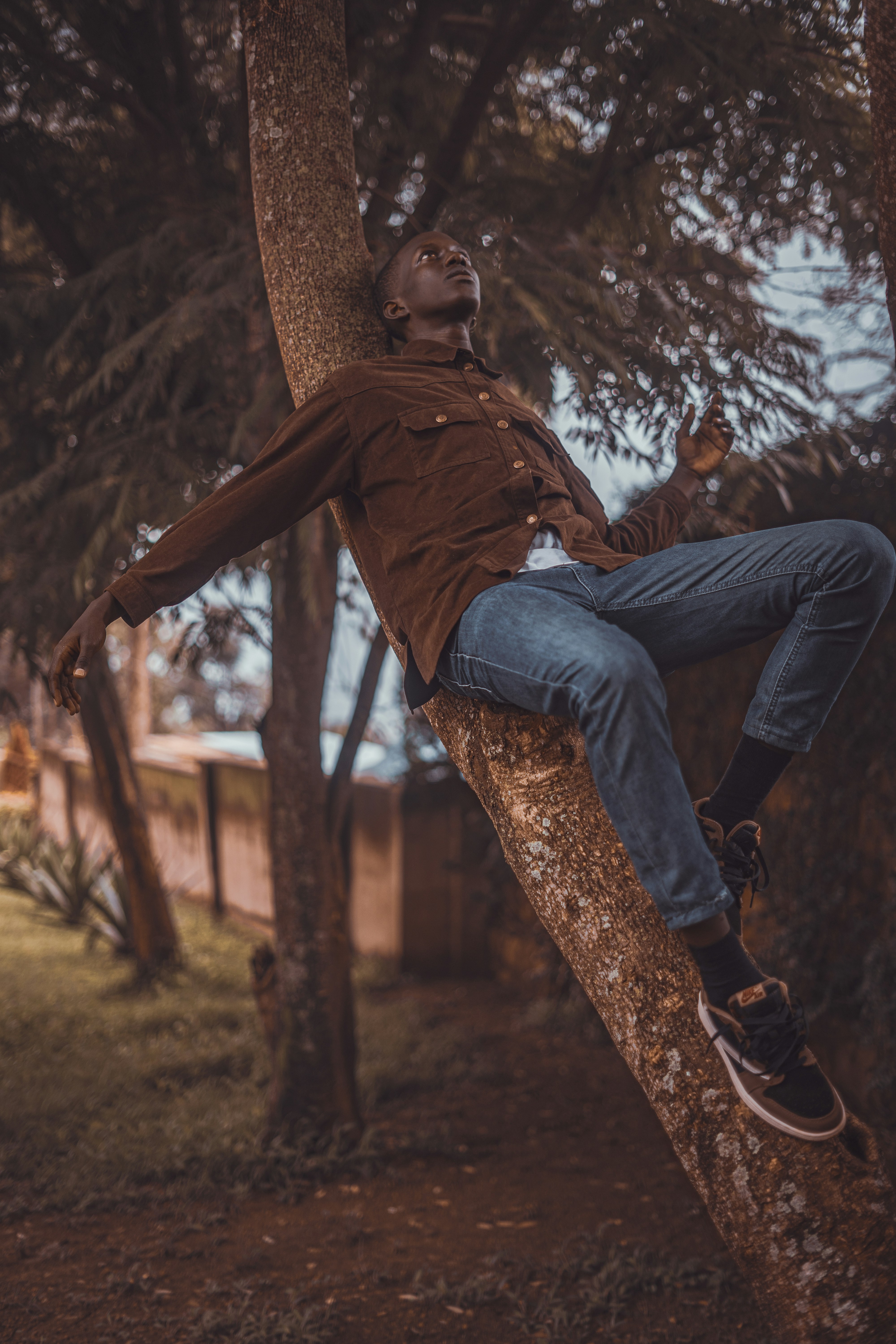 A man laying on top of a tree branch photo – Free Pants Image on Unsplash
