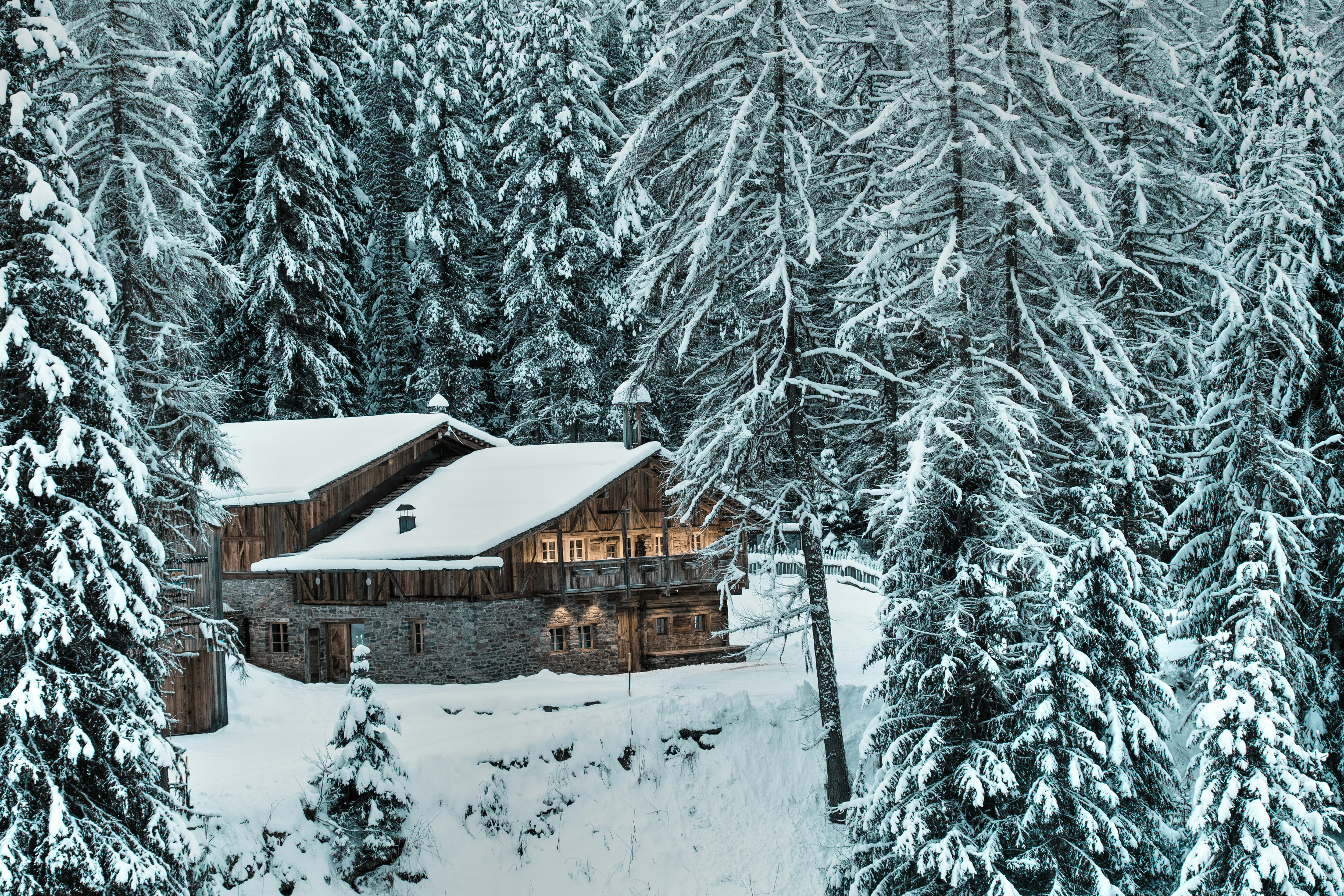Una cabaña en medio de un bosque nevado foto – Imagen de Vivienda ...
