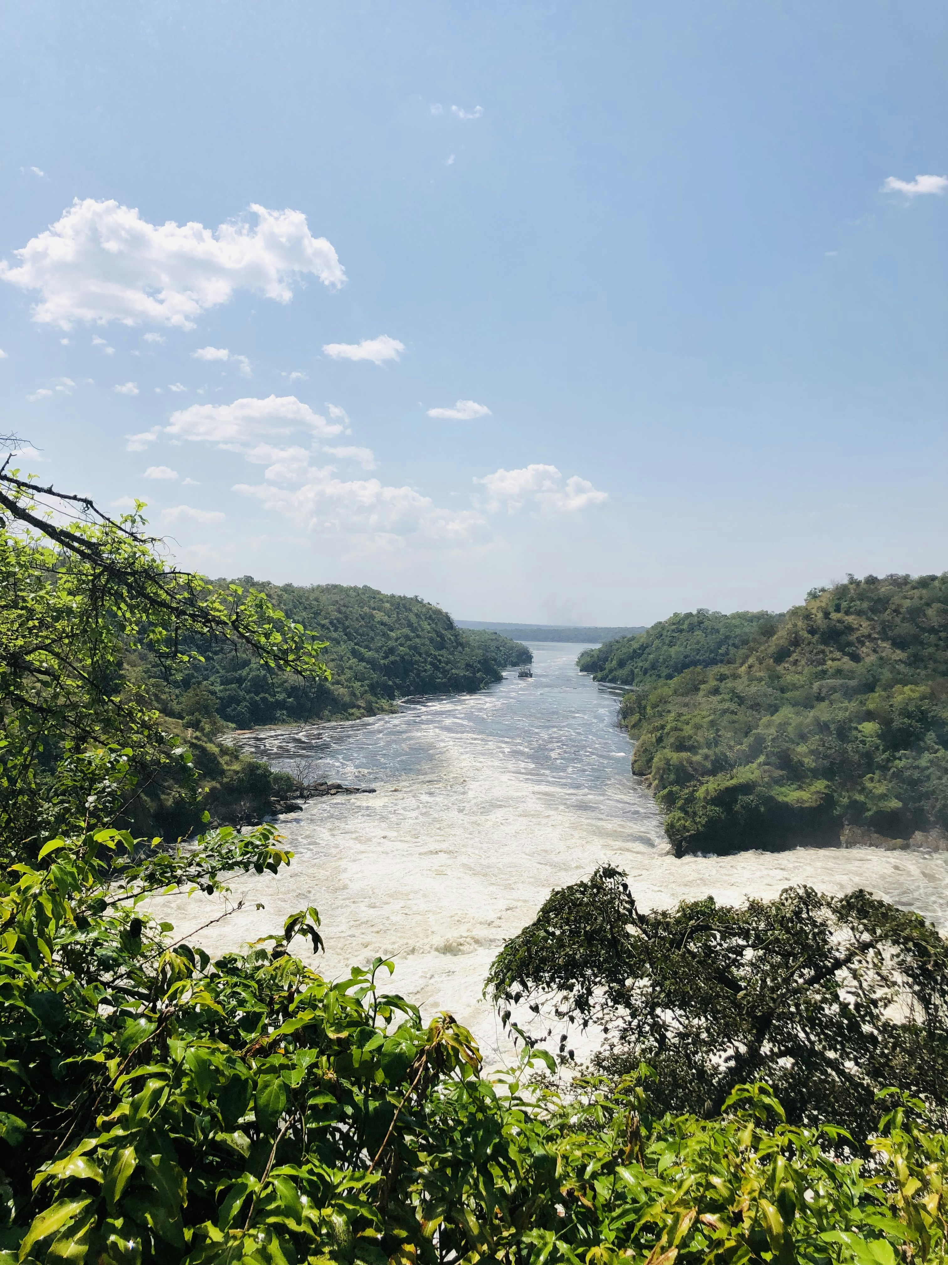 Murchison Falls Uganda | a river running through a lush green forest