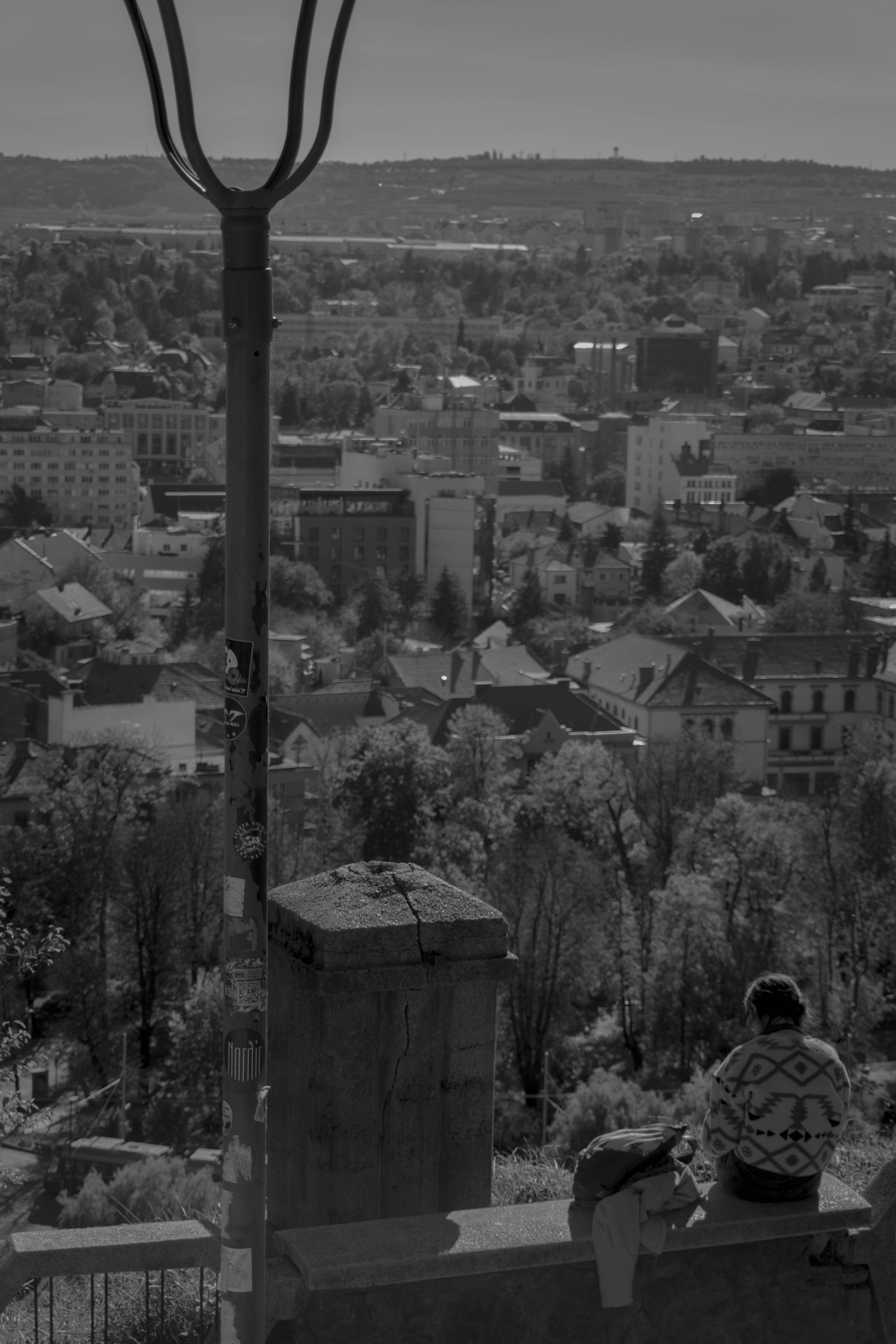 Echoes Over the City: A Quiet Moment Above the Rooftops